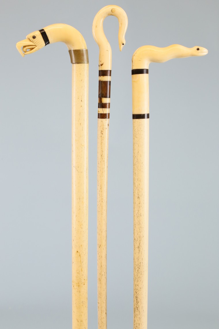 Cane - 19th Century Whalebone, Whale Ivory and Baleen Canes and Walking ...