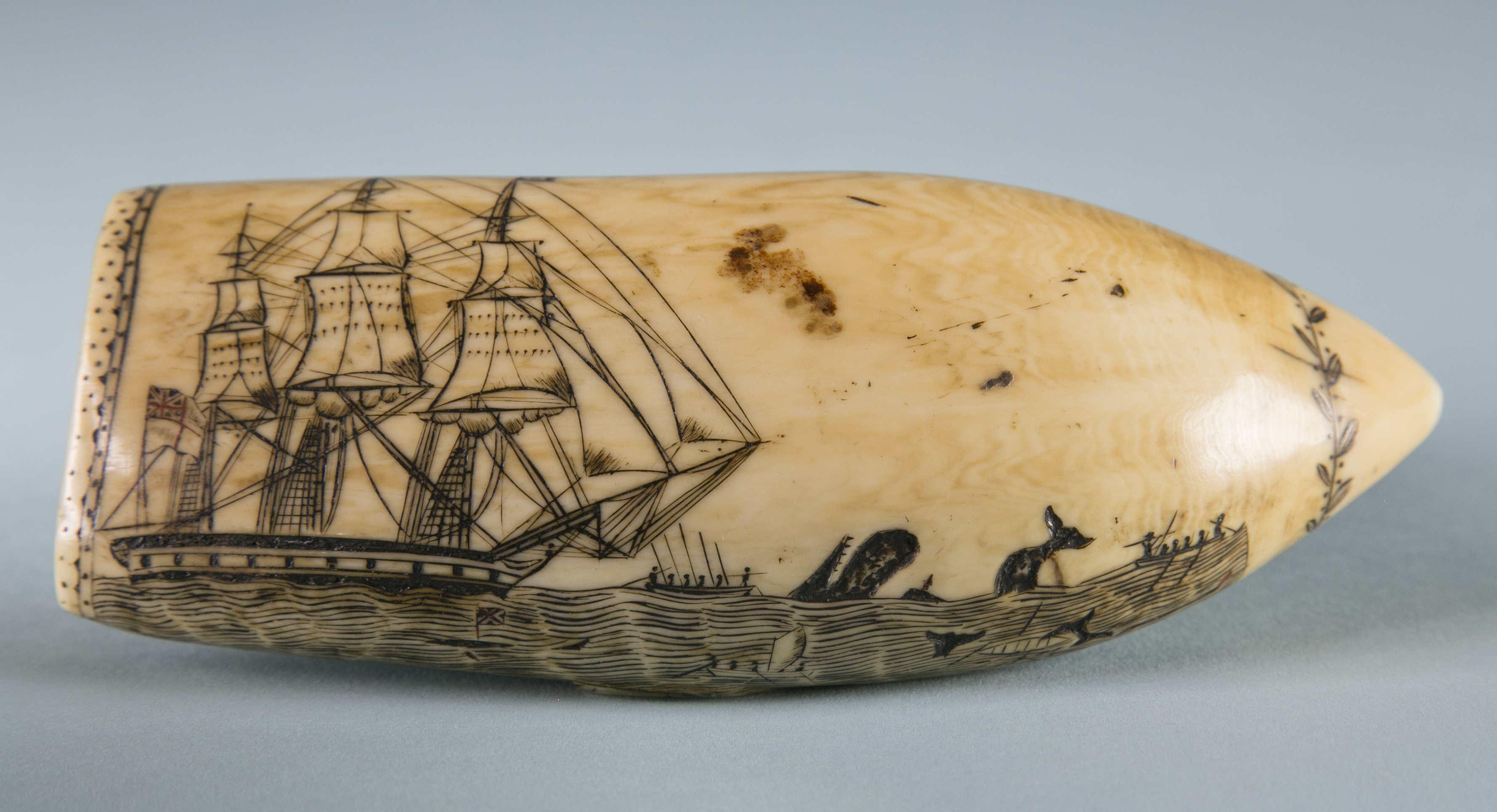 Scrimshaw - Polychrome Scrimshaw Sperm Whale Tooth by the Britannia ...