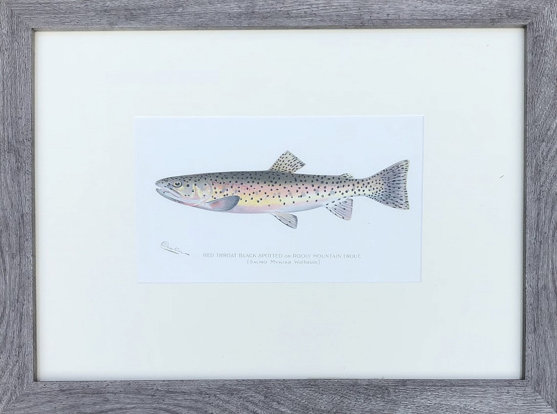 Sherman Foote Denton - Set of 6 Sherman Foote Denton Antique Fresh ...