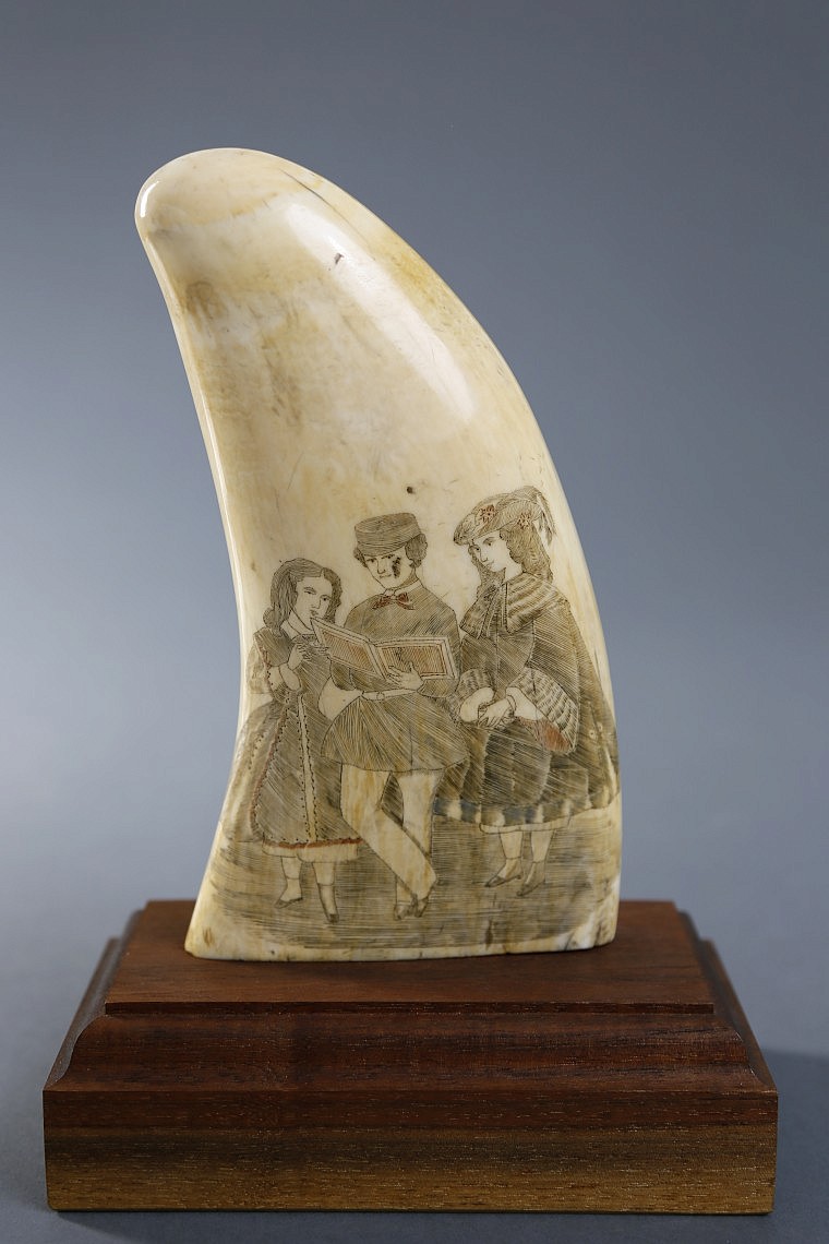 Sperm Whale Tooth - Fine Large Whaleman Scrimshawed and Polychromed ...