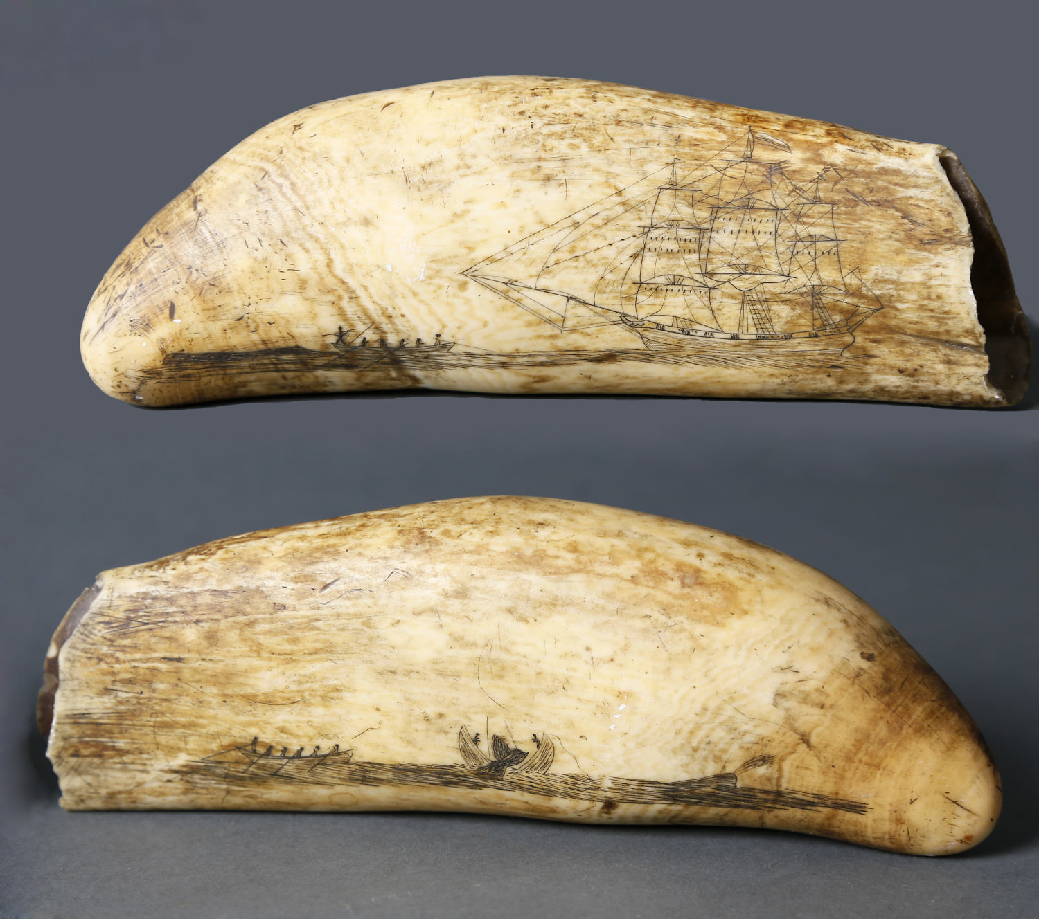Sperm Whale Teeth - Pair of Whaleman Scrimshawed Sperm Whale Teeth ...