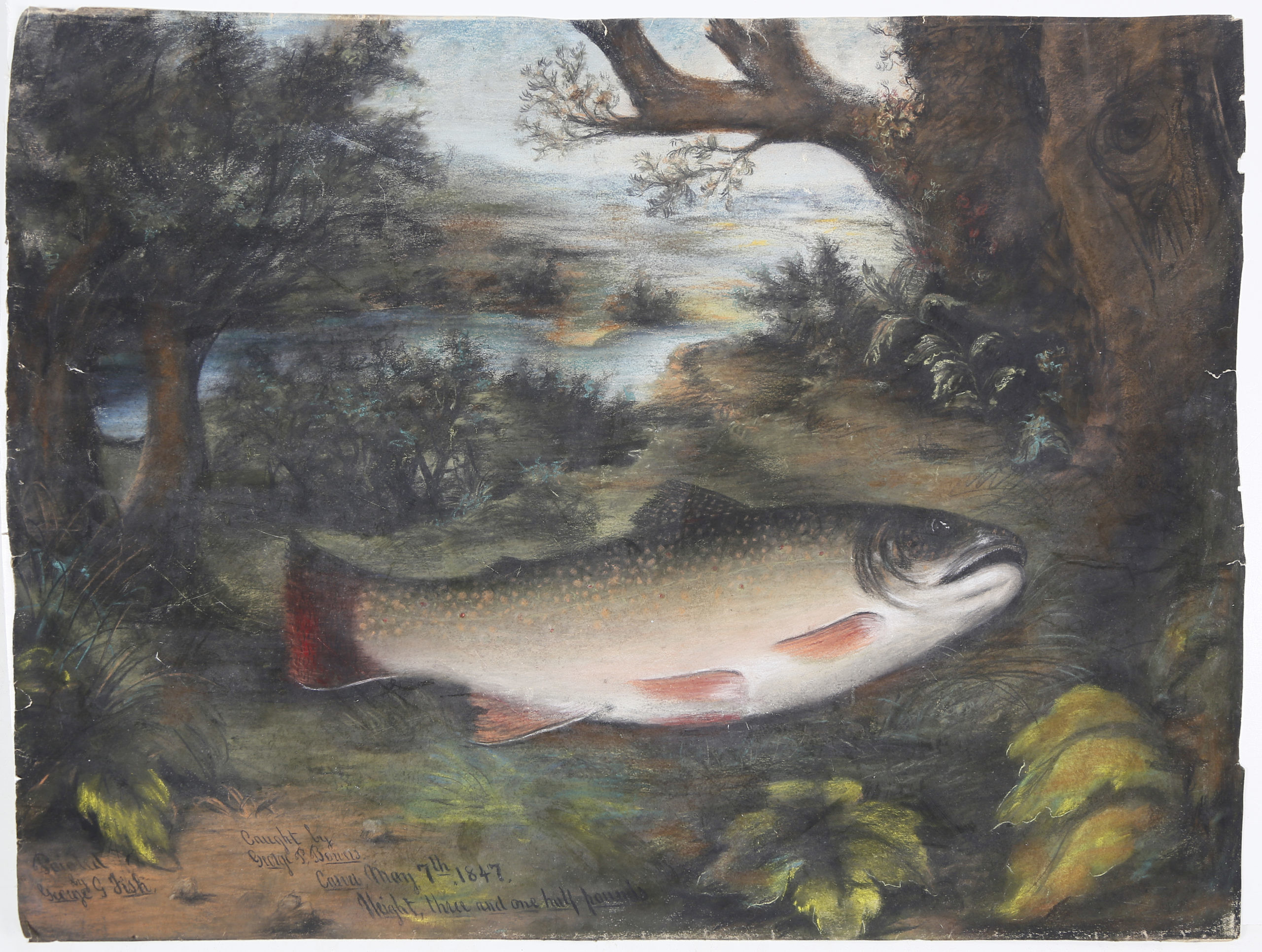 George Gardner Fish - Rare George Gardner Fish Pastel on Paper ...