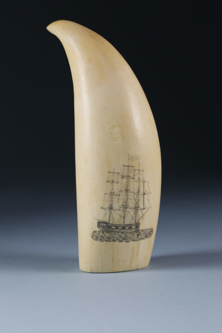 Scrimshaw Sperm Whale Tooth - Fine Scrimshaw Sperm Whale Tooth, circa ...