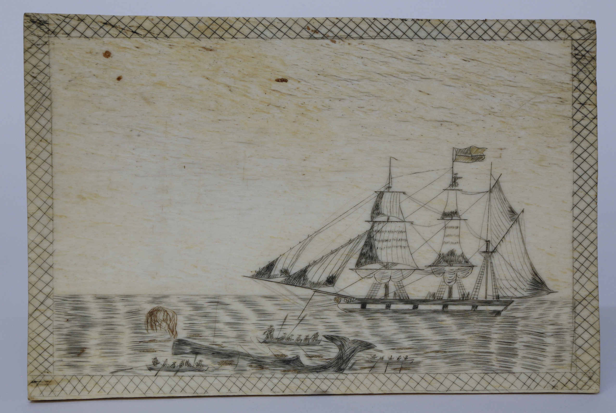 Scrimshaw Panbone Pictorial Plaque - Scrimshaw Panbone Pictorial Plaque ...