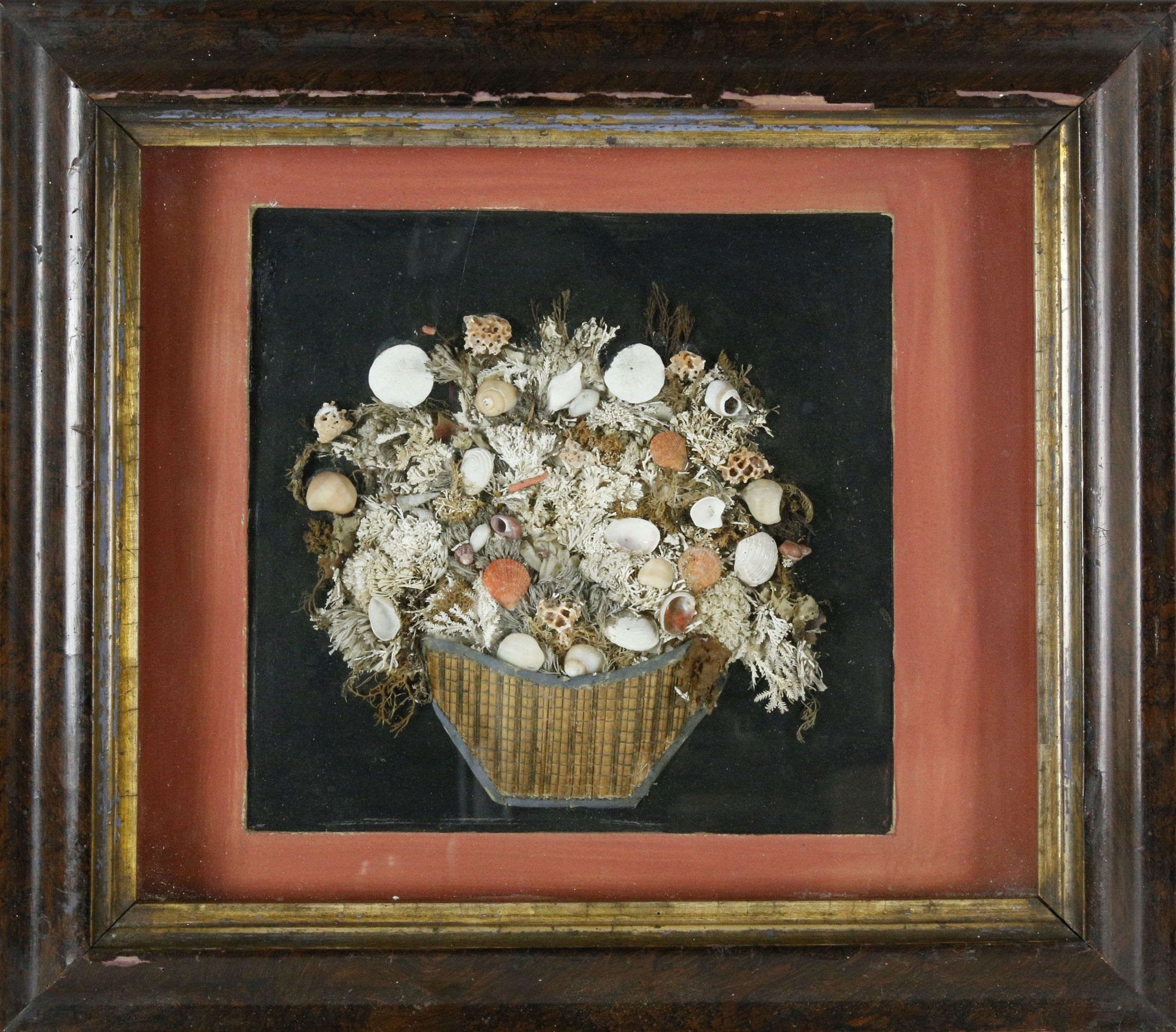 Nautical Shell Diorama - Nautical Shell and Seaweed Diorama, 19th ...