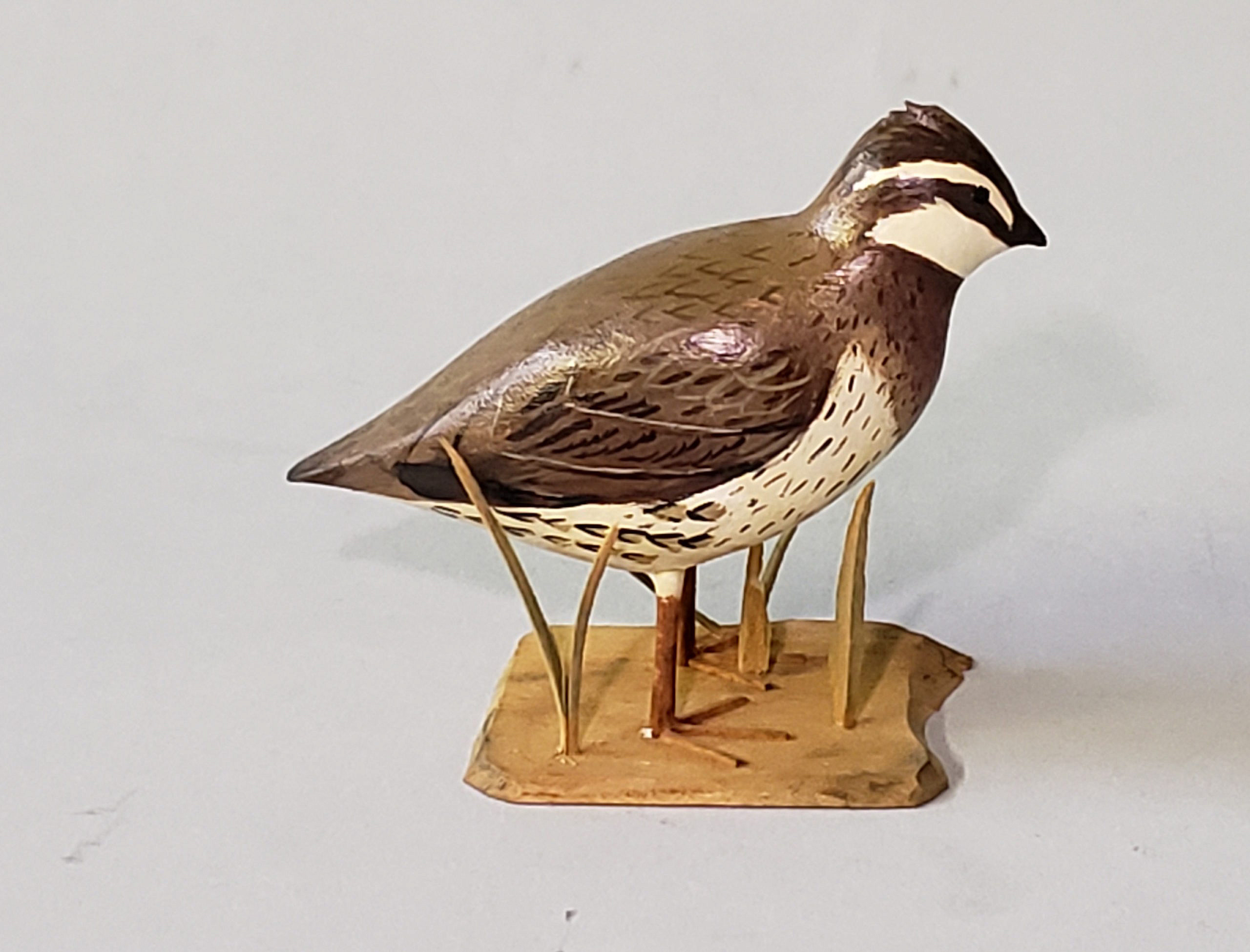Carved and Painted Shorebird Quail Decoy - Carved and Painted Shorebird ...