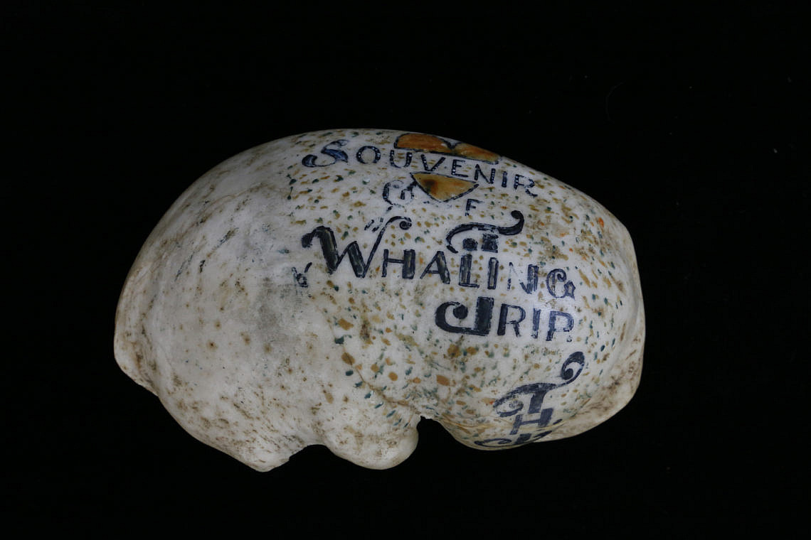 Decorated Antique Whalebone Whale's Inner Ear - Decorated Antique ...