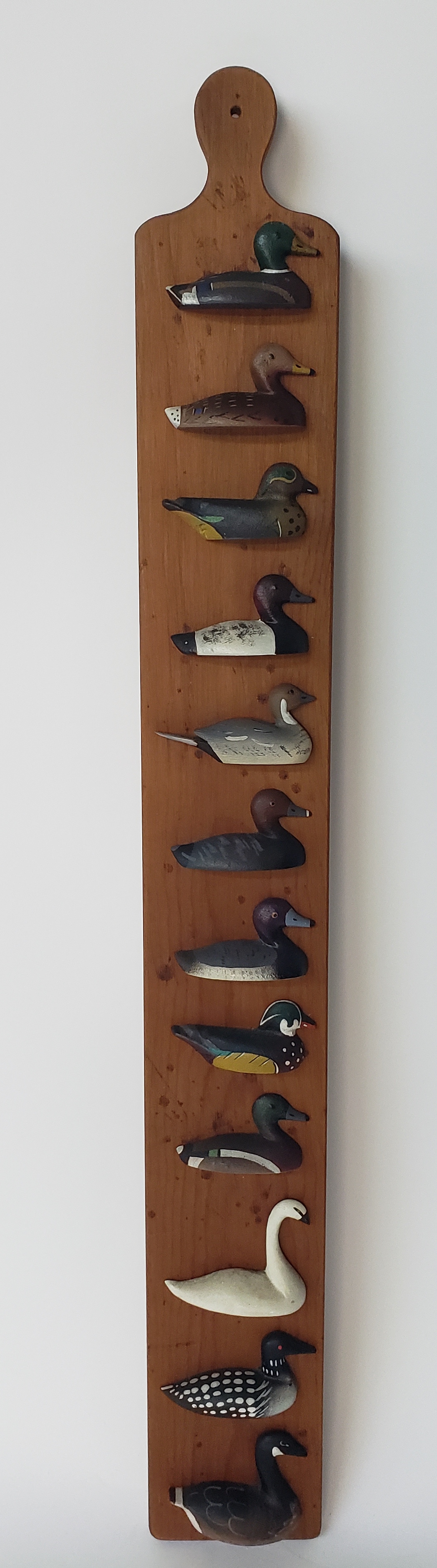 Carved Painted Duck Species Plaque - Hand Carved and Painted Waterfowl ...
