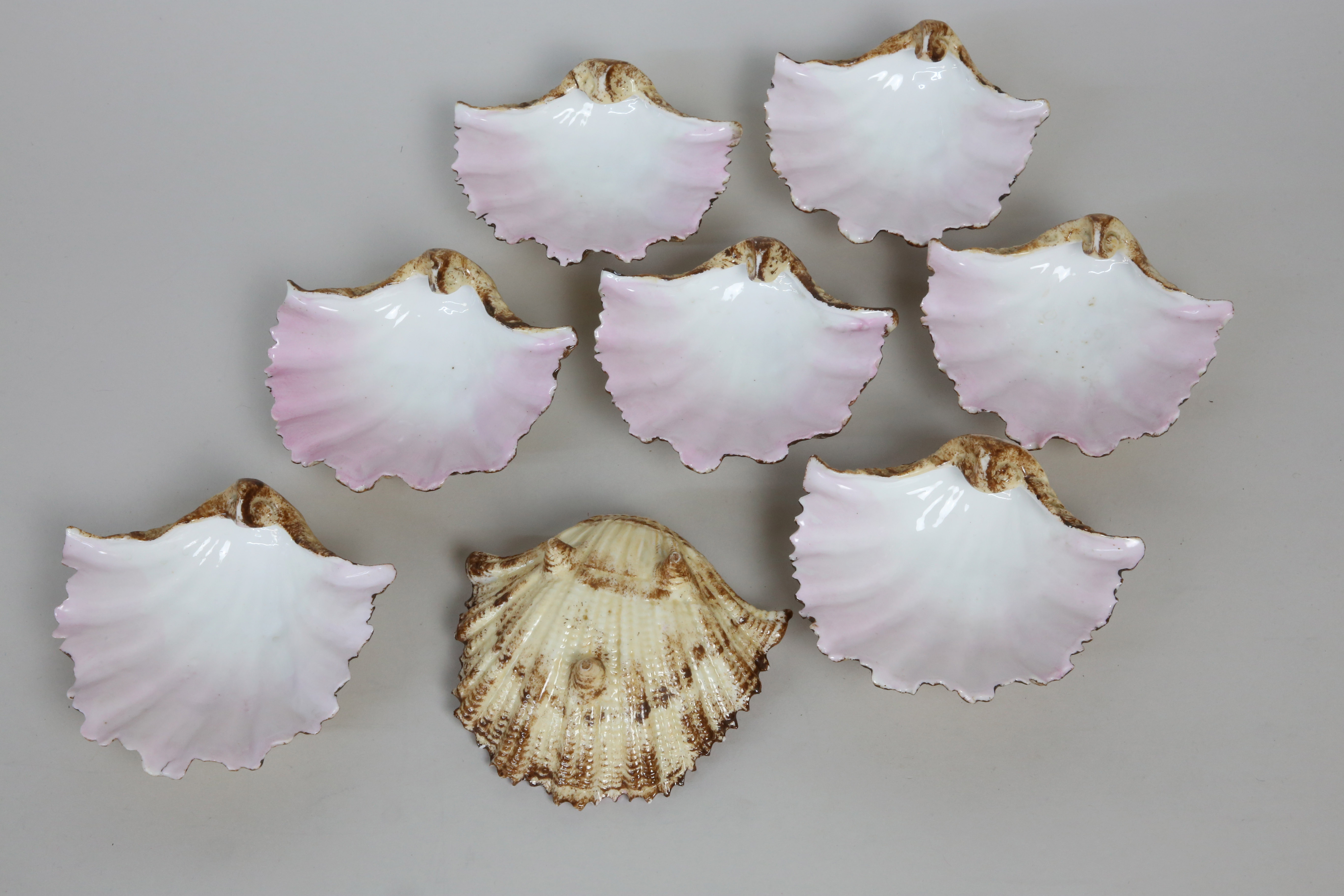 8 French Porcelain Shell Form Scallop Dishes 19th Century - Set of ...