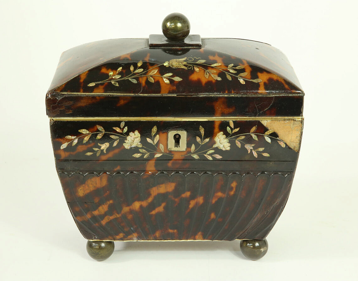 British Regency Double Compartment Antique Tortoiseshell Tea Caddy 19th ...
