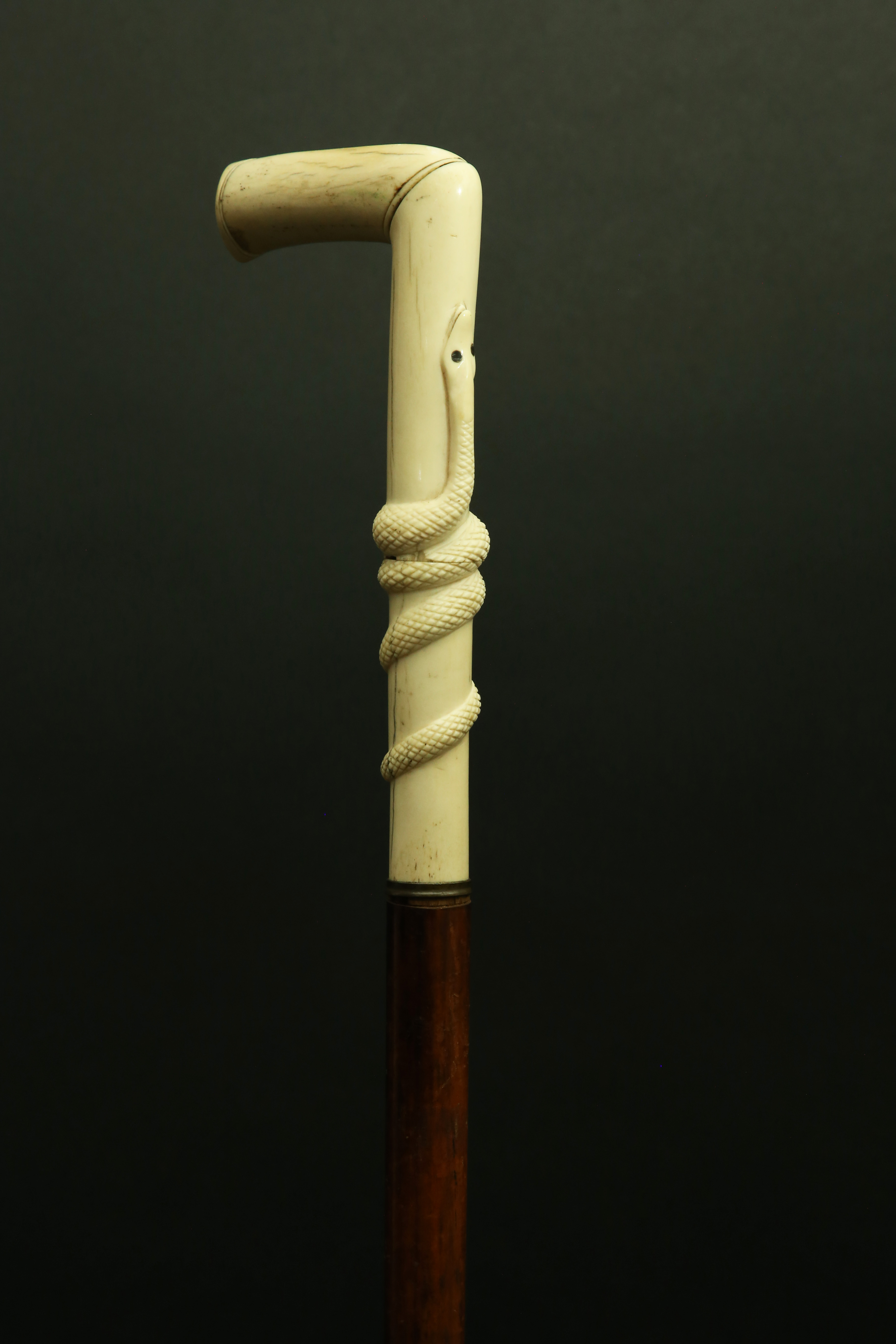Carved Antique Bone Serpent Cane 19th Century - Carved Antique Bone ...