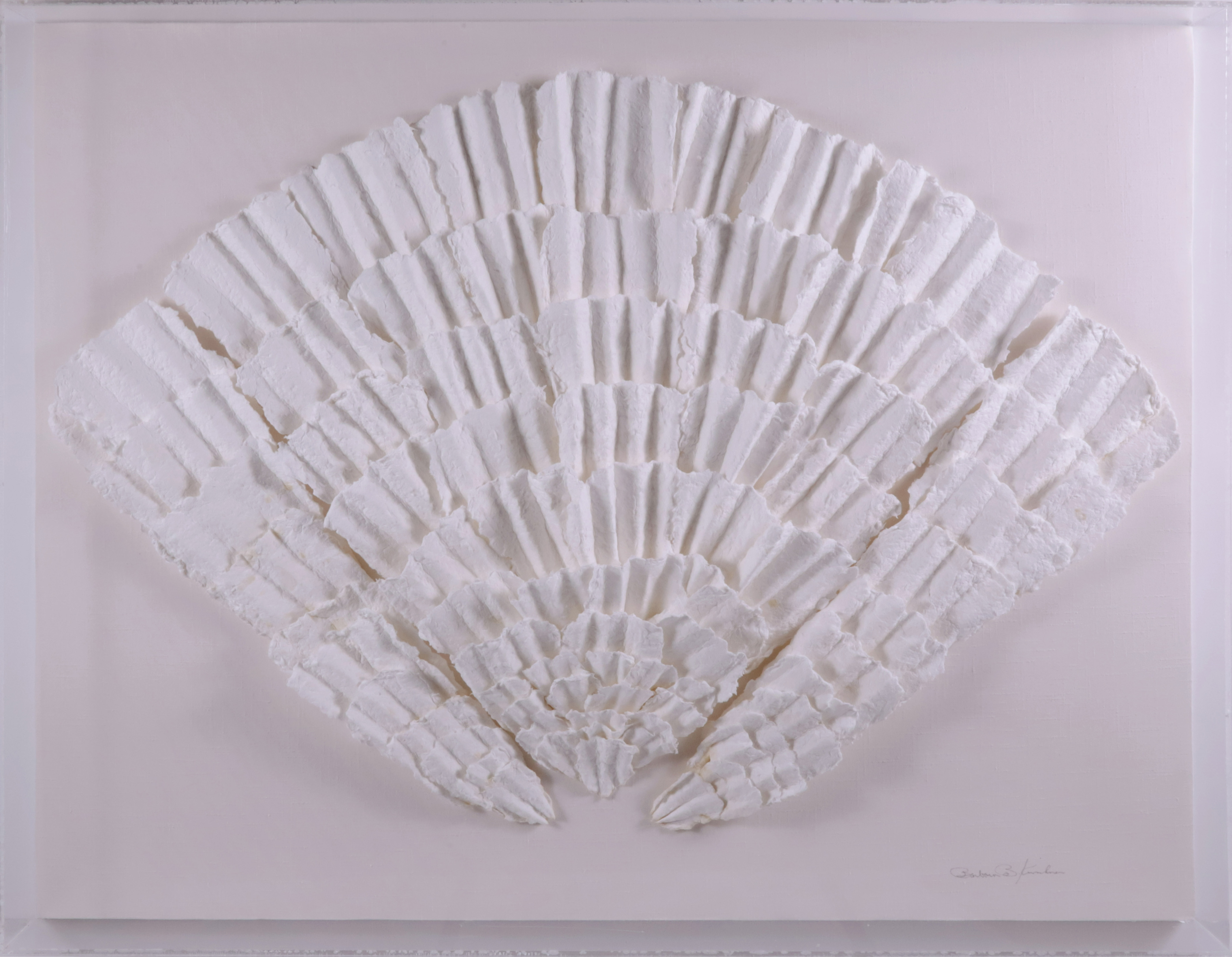 Barbara B. Kimlin Large Sculpted Paper Shell in Lucite Frame - Barbara ...