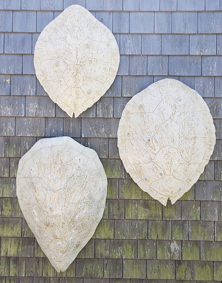 Ed Koehler Designs Sea Turtle Ornaments - Three Ed Koehler Designs Faux ...