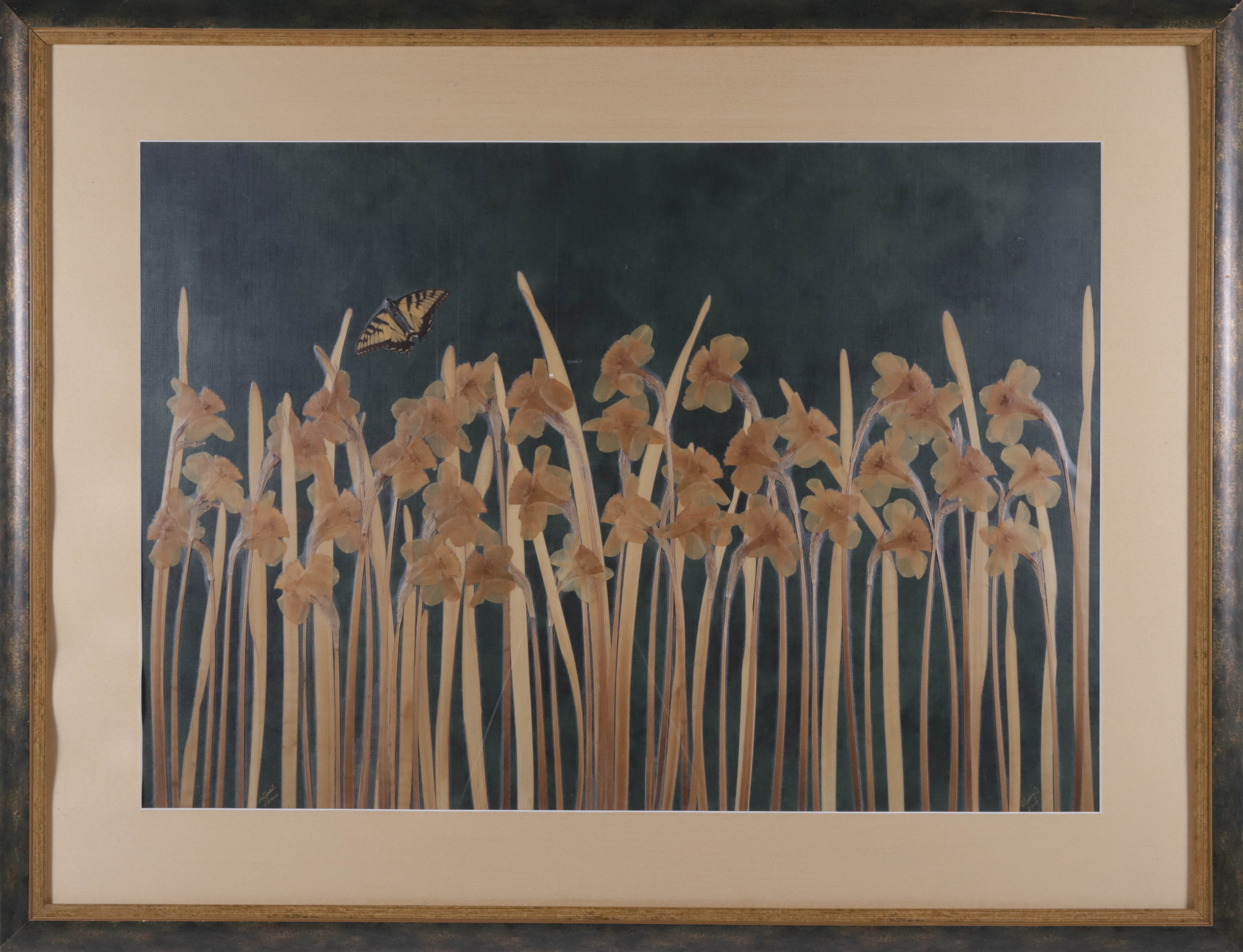 Pressed Daffodils Titled "Daffodil Dance" circa 2010 - Pressed ...