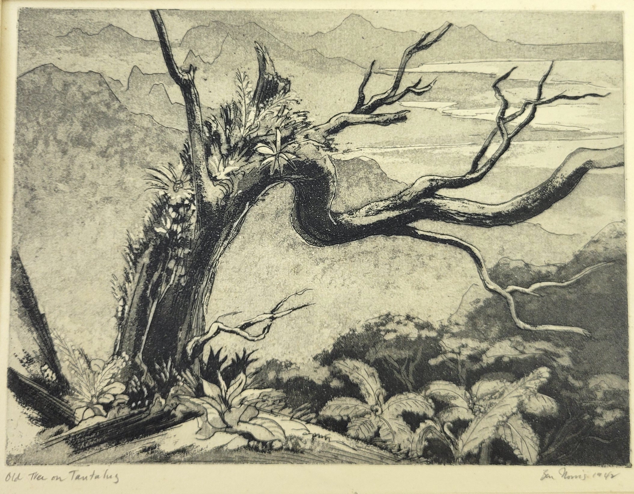 1942 Ben Norris Aquatint Engraving “Old Tree on Tantalus” Hawaii - 1942 ...
