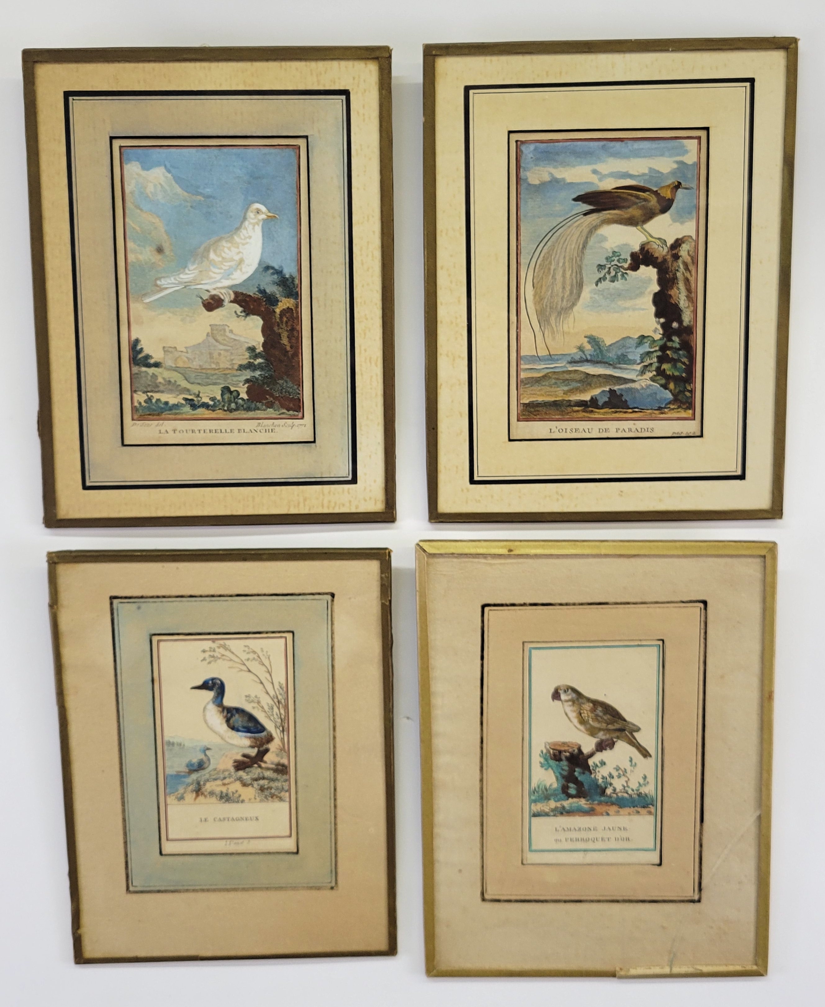 Four Antique 18th C. French Hand Colored Engravings of Bird Species ...