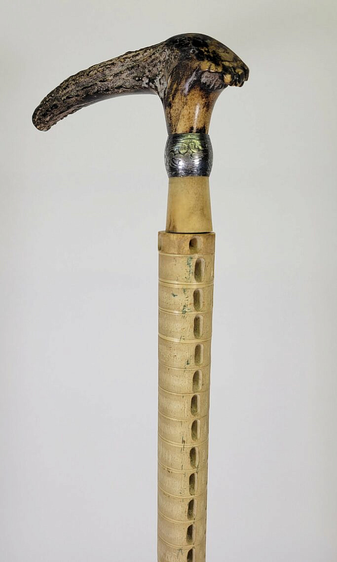 Antique Nautical Shark Vertebrae Men’s Walking Stick Cane - Antique ...