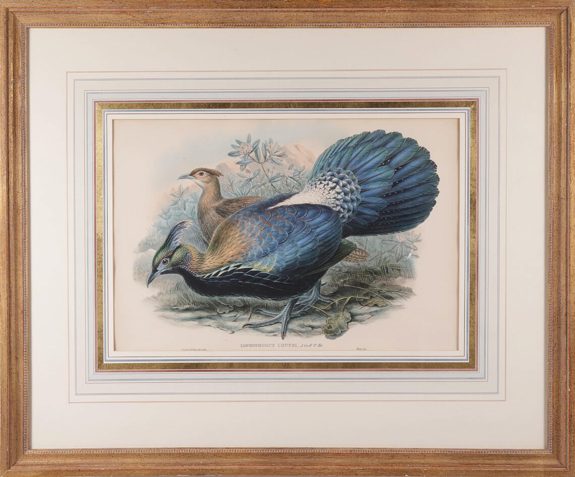 J. Gould and W. Hart "Lophophorus L'Huysi" a Geoff. St Hil "Himalayan ...