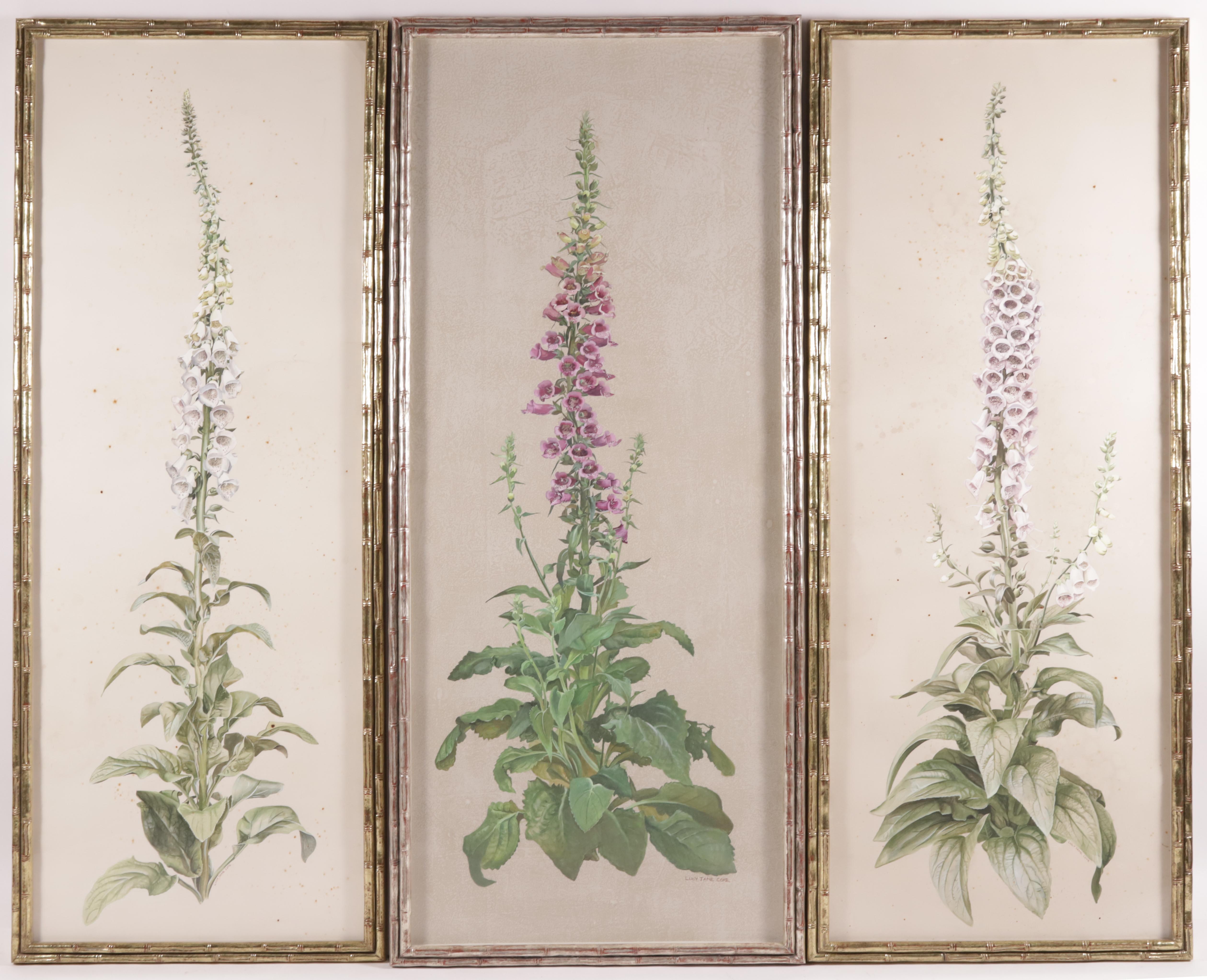Three Lucy Jane Cope Tempera on Paper Depicting Foxglove - Three Lucy ...