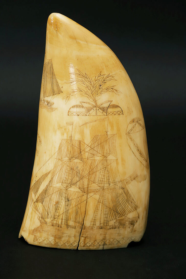 Scrimshaw Antique Whale Tooth Mid 19th Century - Scrimshaw Antique ...