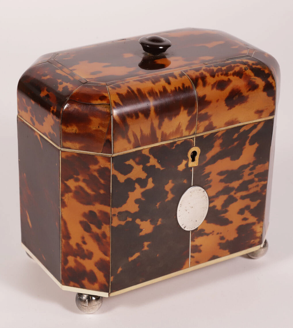 British Regency Antique Tortoiseshell Tea Caddy 19th Century Octagonal ...