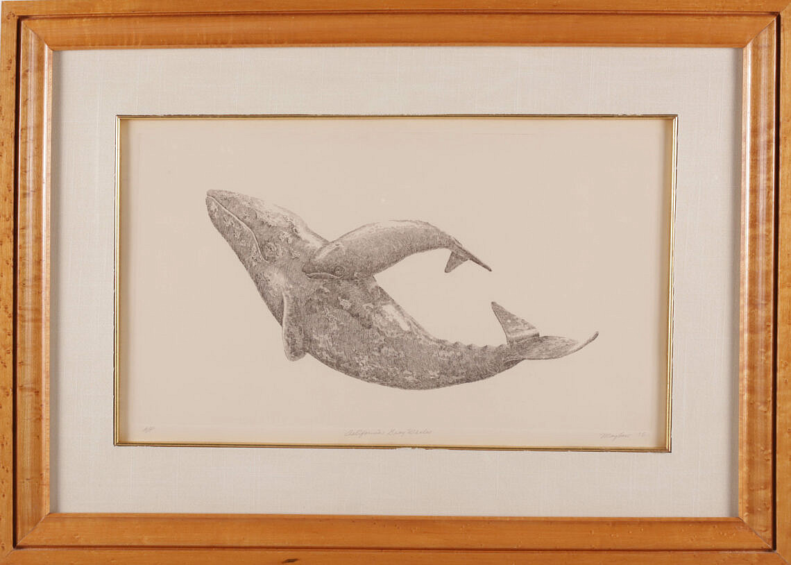 Mayhew Etching "California Gray Whale" Artist's Proof 1975 - Mayhew ...