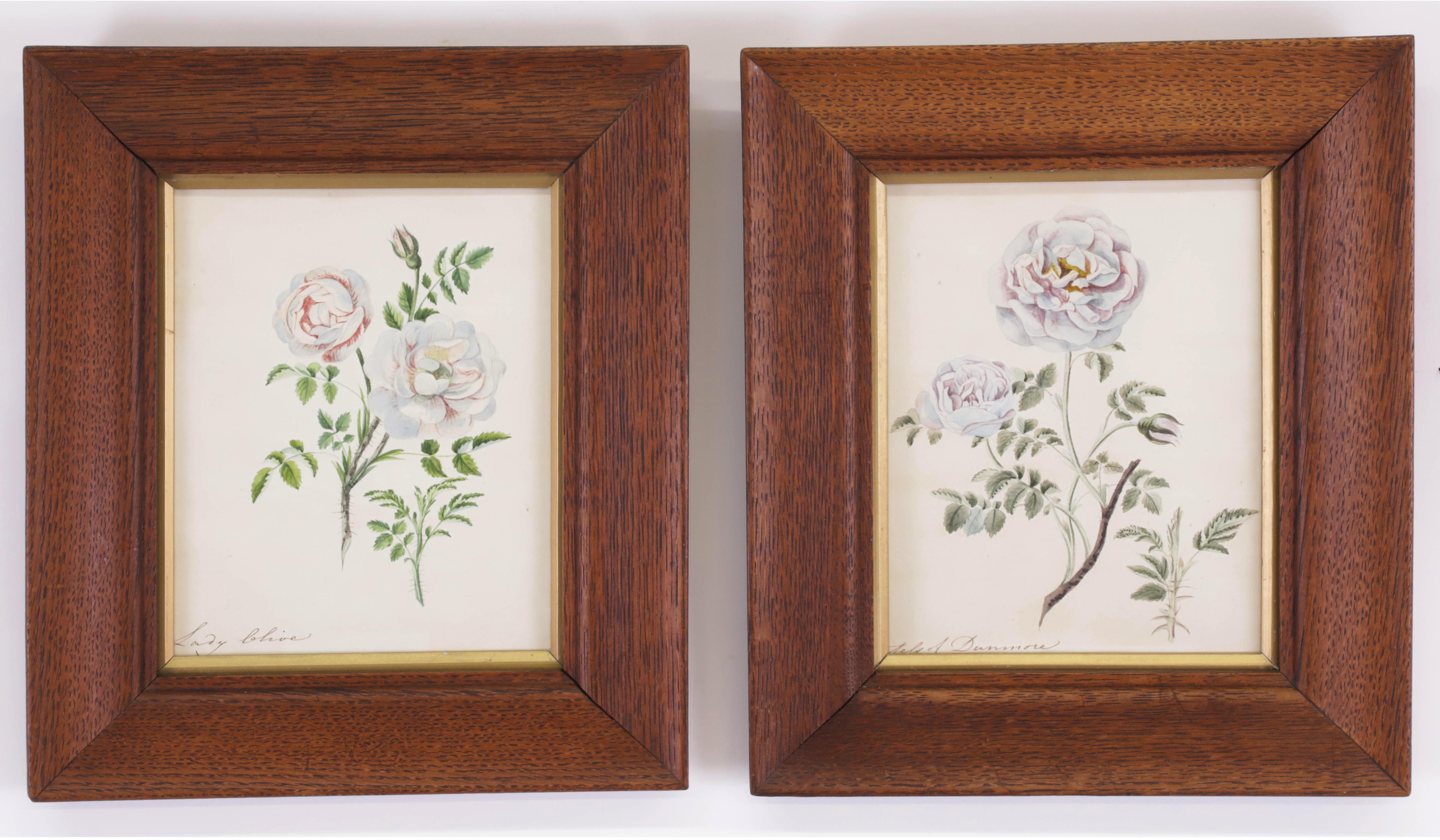 Pair of "Rose" Watercolors on Paper Circa 1840 - Pair of Rose ...