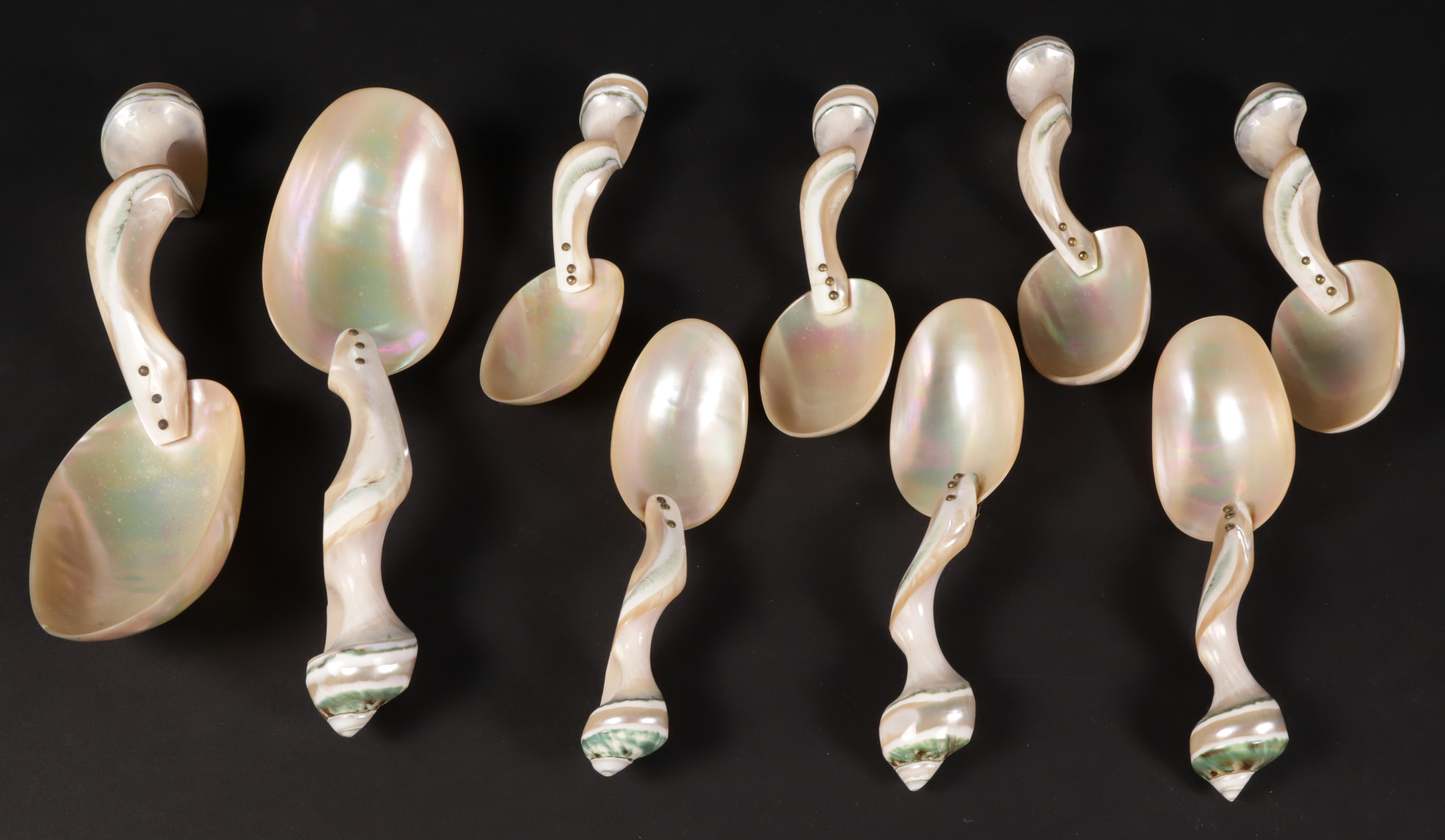 Nine Late 19th Century Shell Spoons - Nine Late 19th Century Shell ...