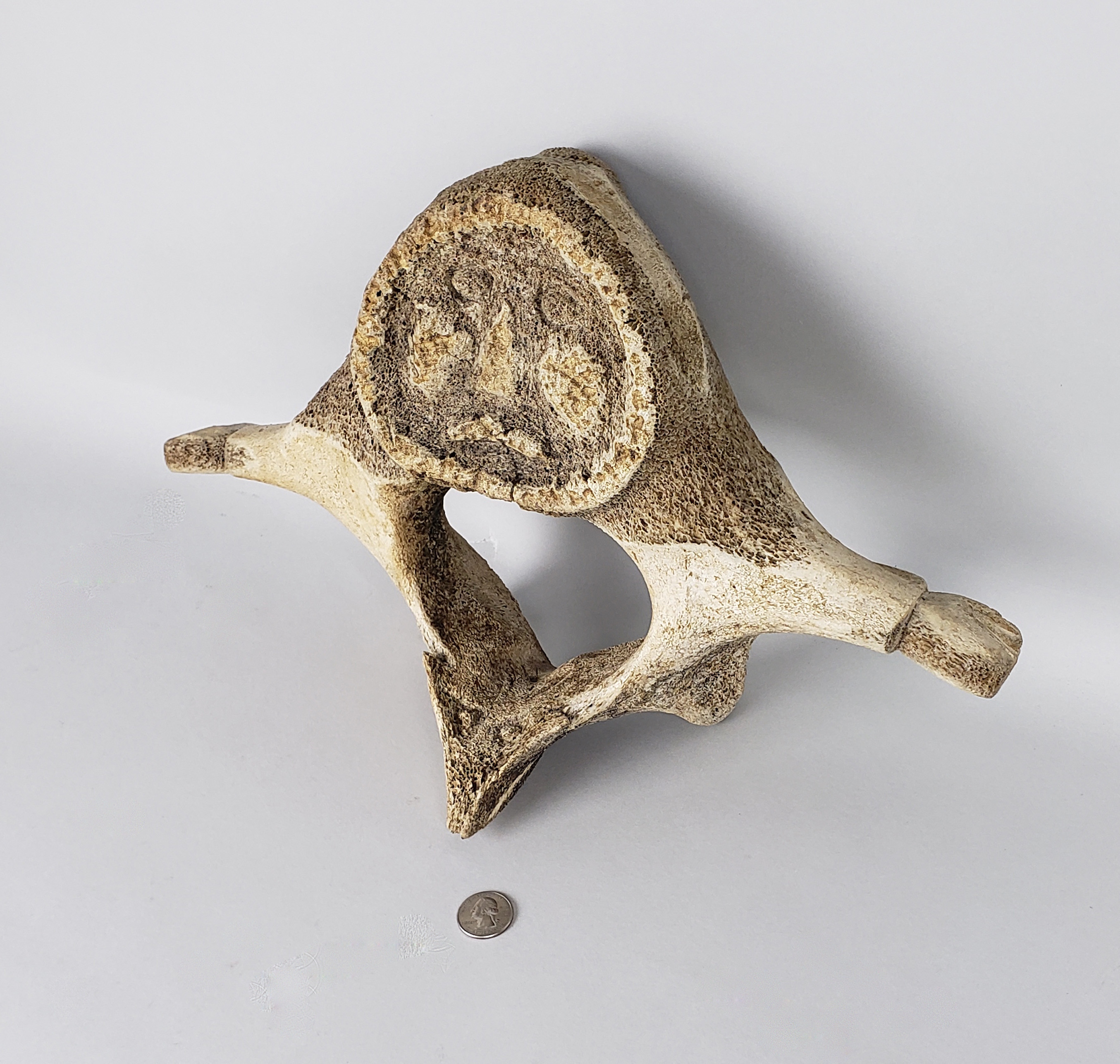 Antique Inuit Whalebone Sculpture 19th Century - Antique Inuit Carved ...