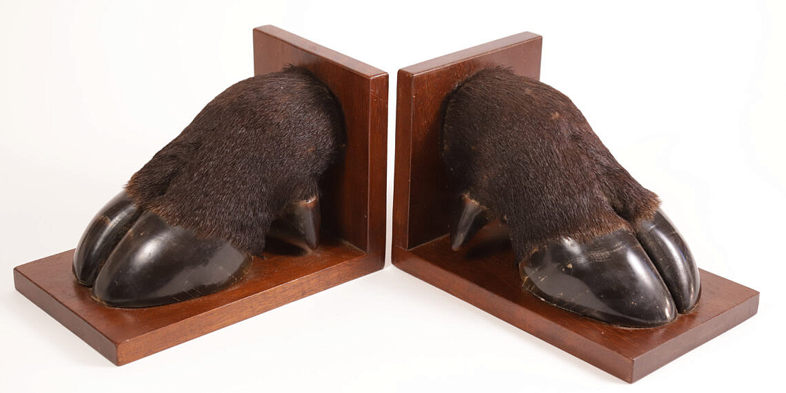 Pair of American Buffalo Hooves Bookends - Pair of Vintage American ...