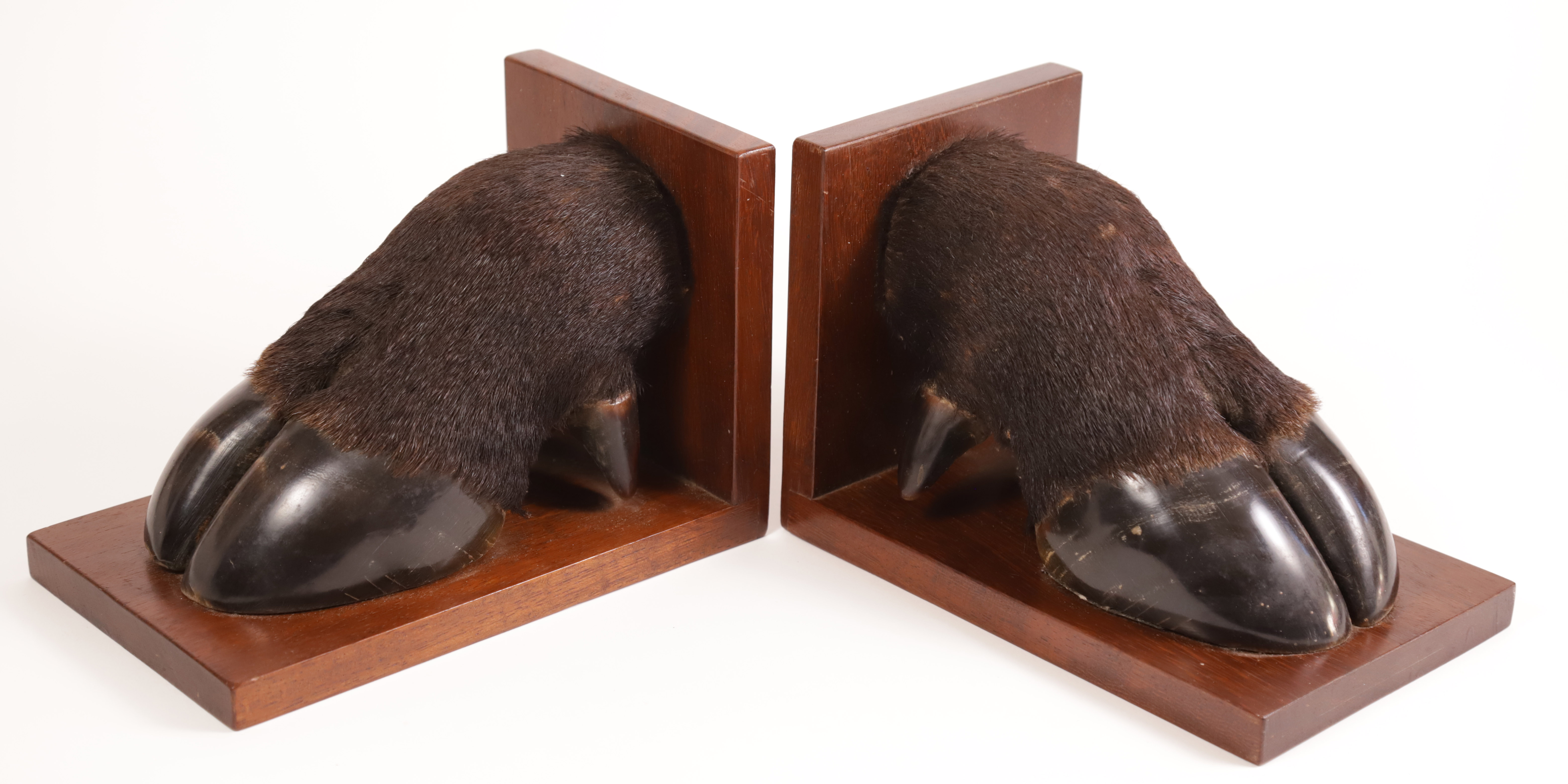 Pair of American Buffalo Hooves Bookends - Pair of Vintage American ...
