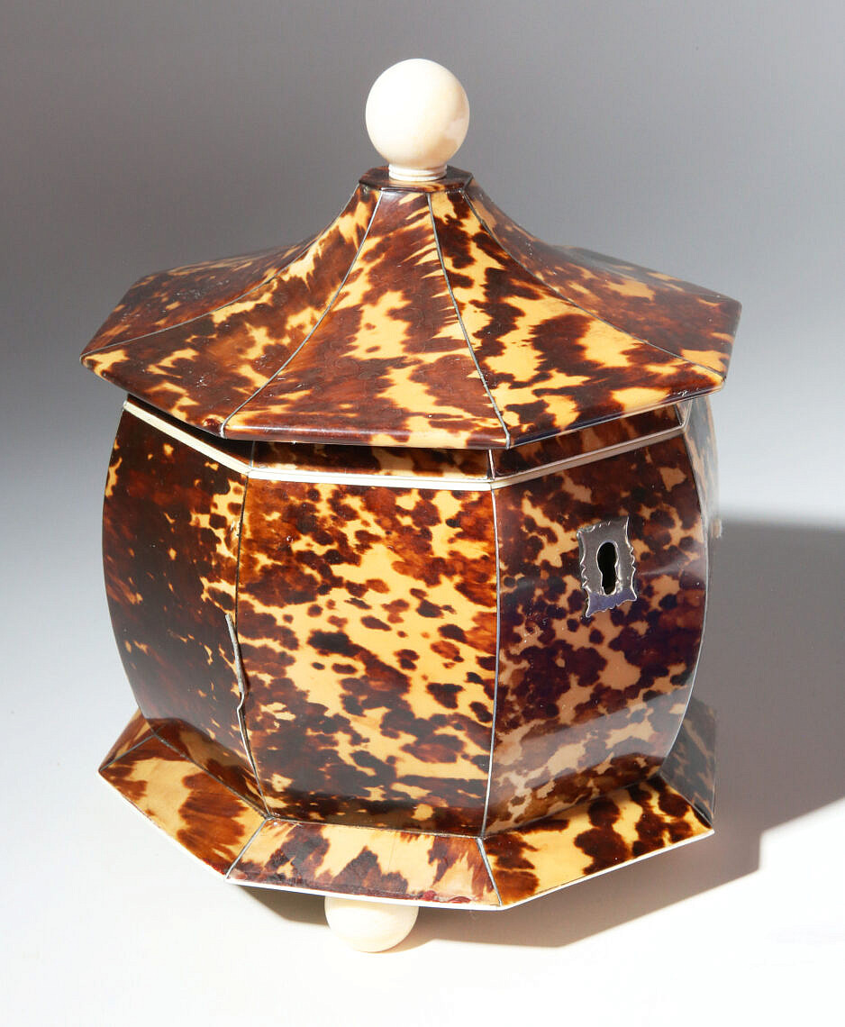British Regency Antique Shell Octagonal Pagoda Top Tea Caddy 19th ...