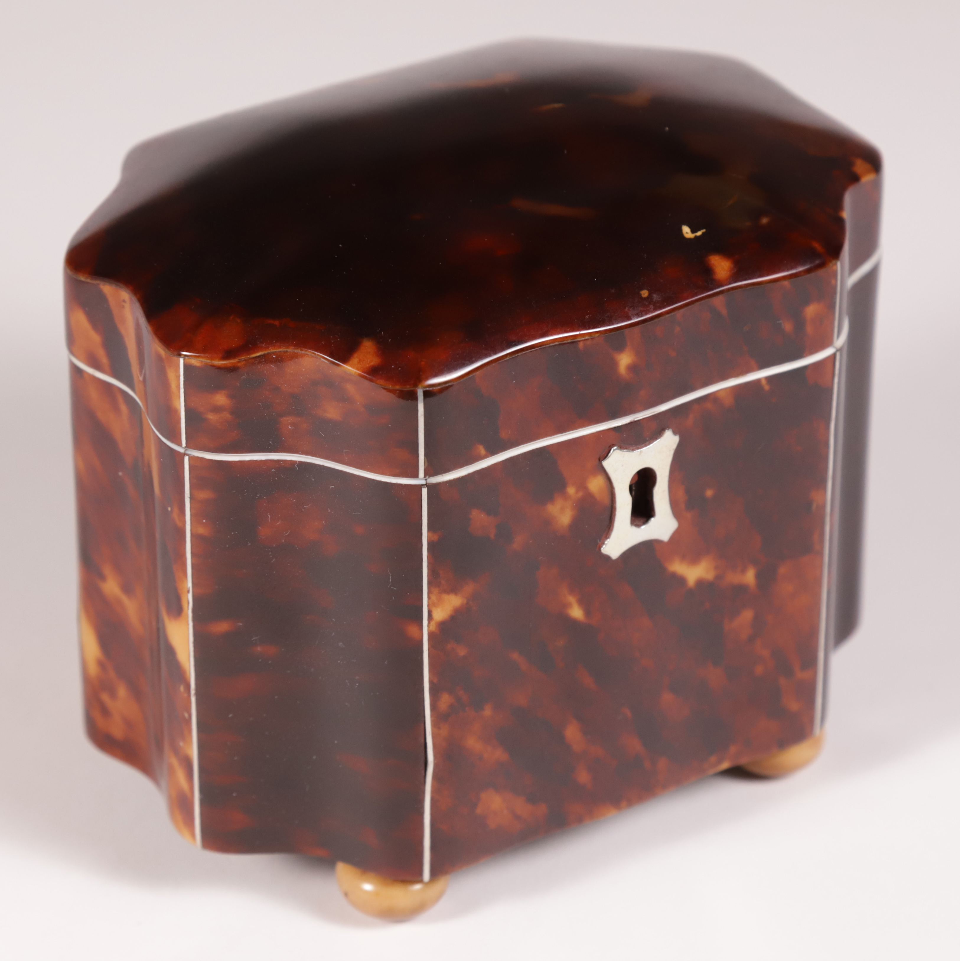 British Regency Antique Shell Tea Caddy 19th Century - British Regency ...