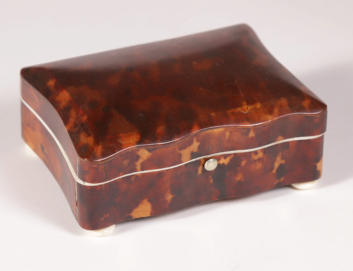 British Regency Antique Shell Box 19th Century - British Regency ...