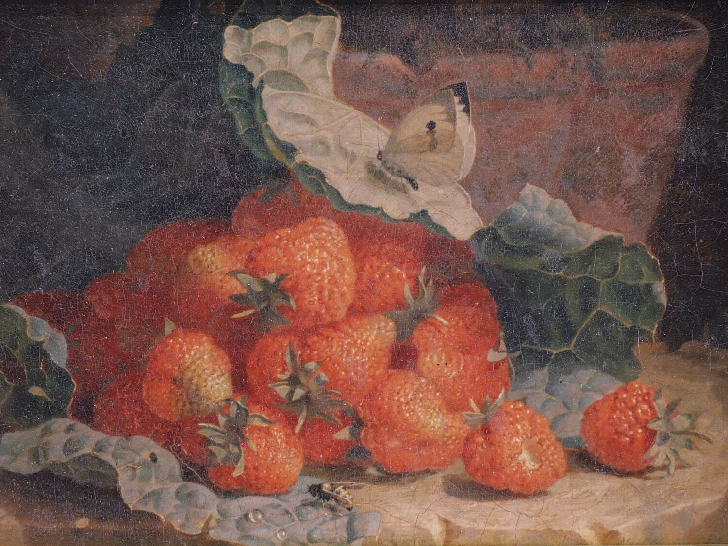 English Oil on Board "Still Life with Strawberries" - Rafael Osona ...