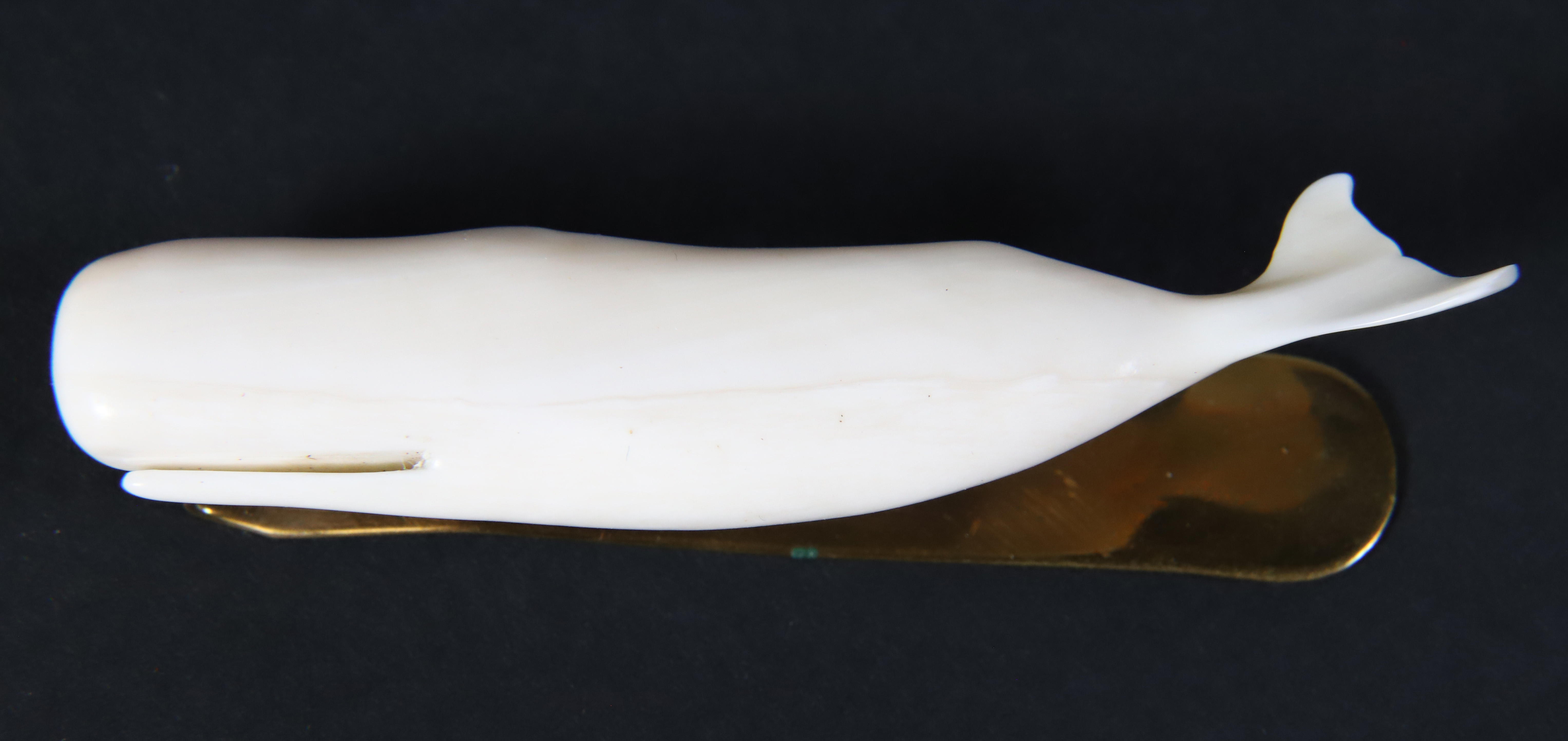 Charlie Sayle Carved Sperm Whale Money Clip - Charlie Sayle Carved ...
