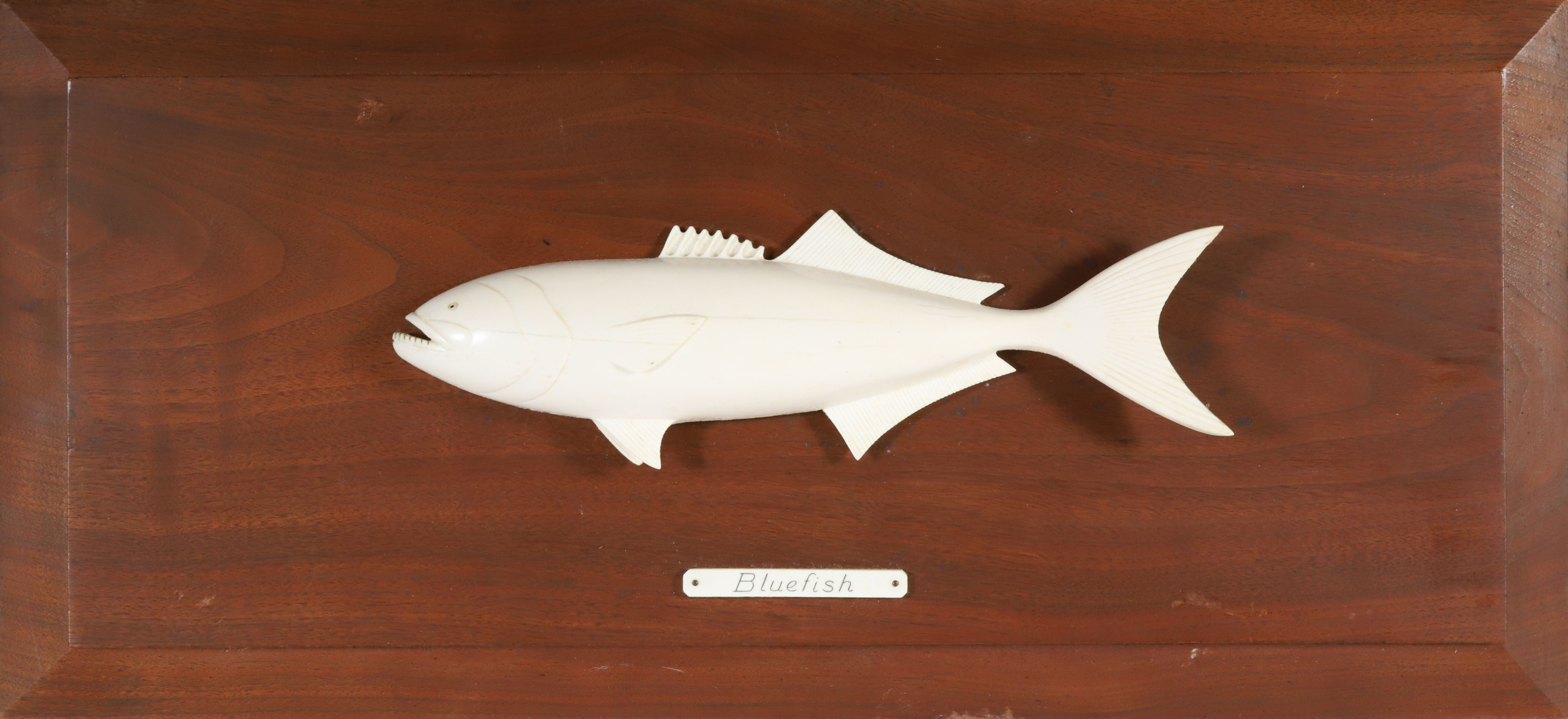 Aletha Macy Carved Bluefish Plaque circa 1962 - Aletha Macy Carved ...