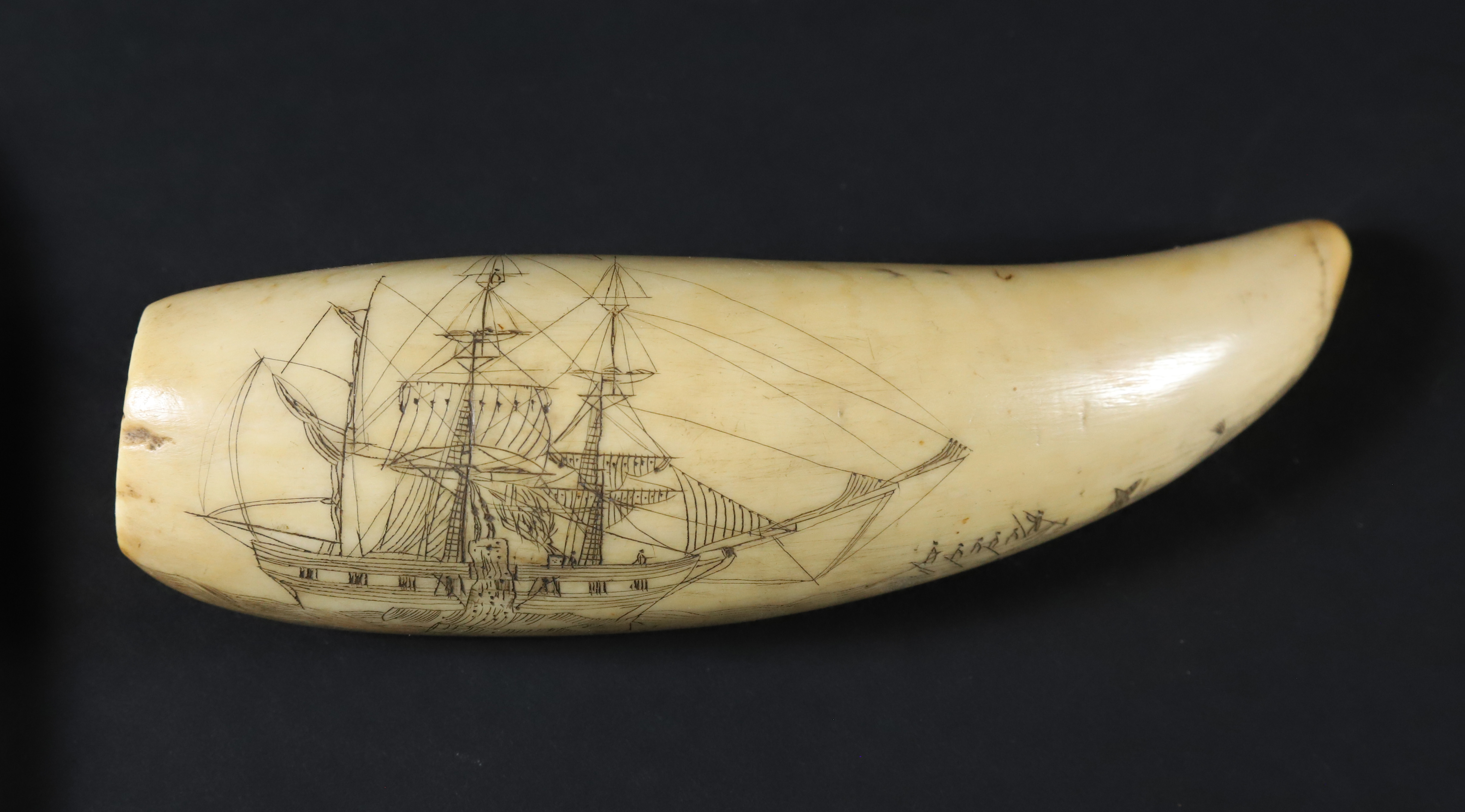 Antique Scrimshaw Whale's Tooth 19th Century - Antique Scrimshaw Whale ...