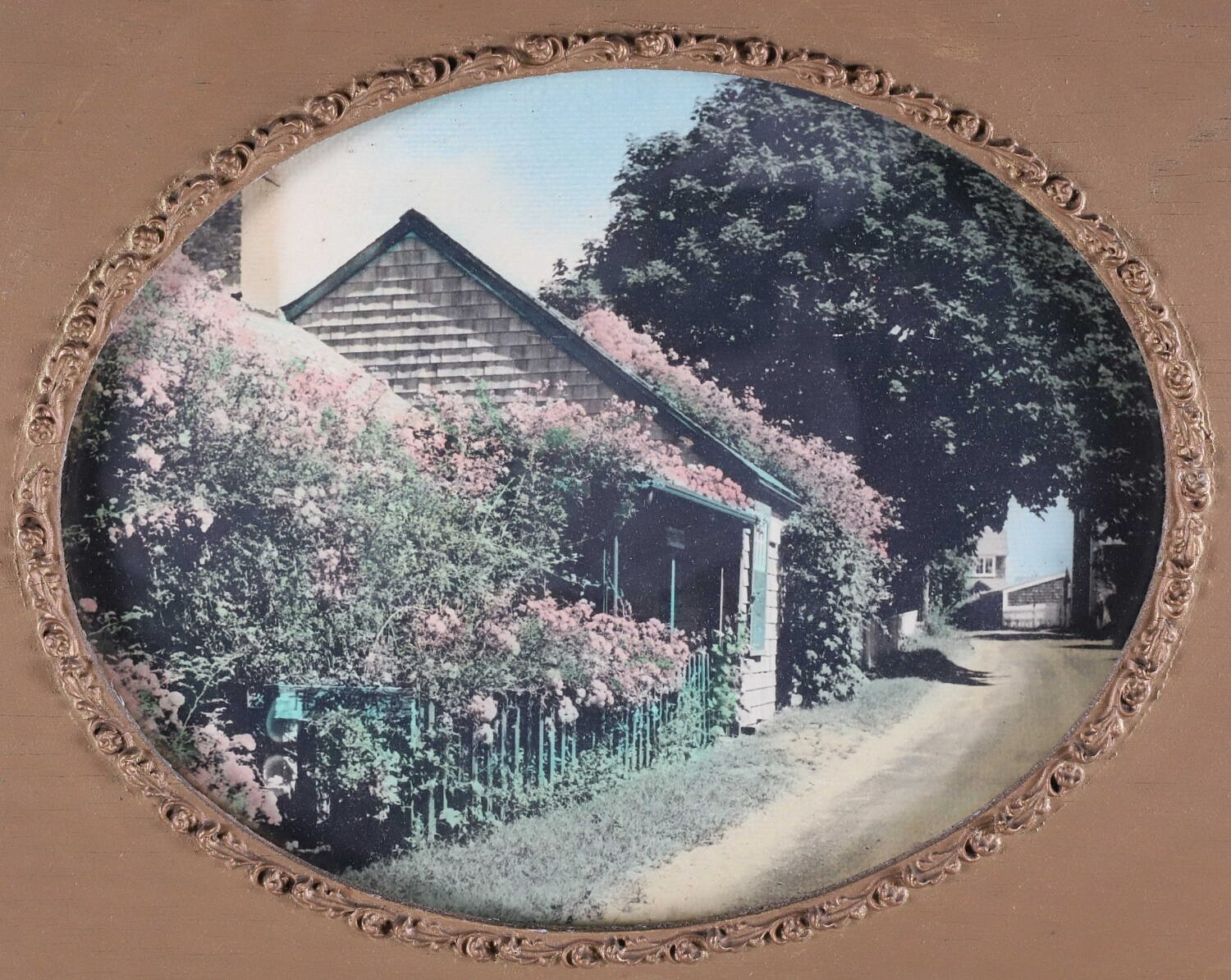 Vintage Nantucket Hand Colored Photograph "Siasconset Rose Covered ...