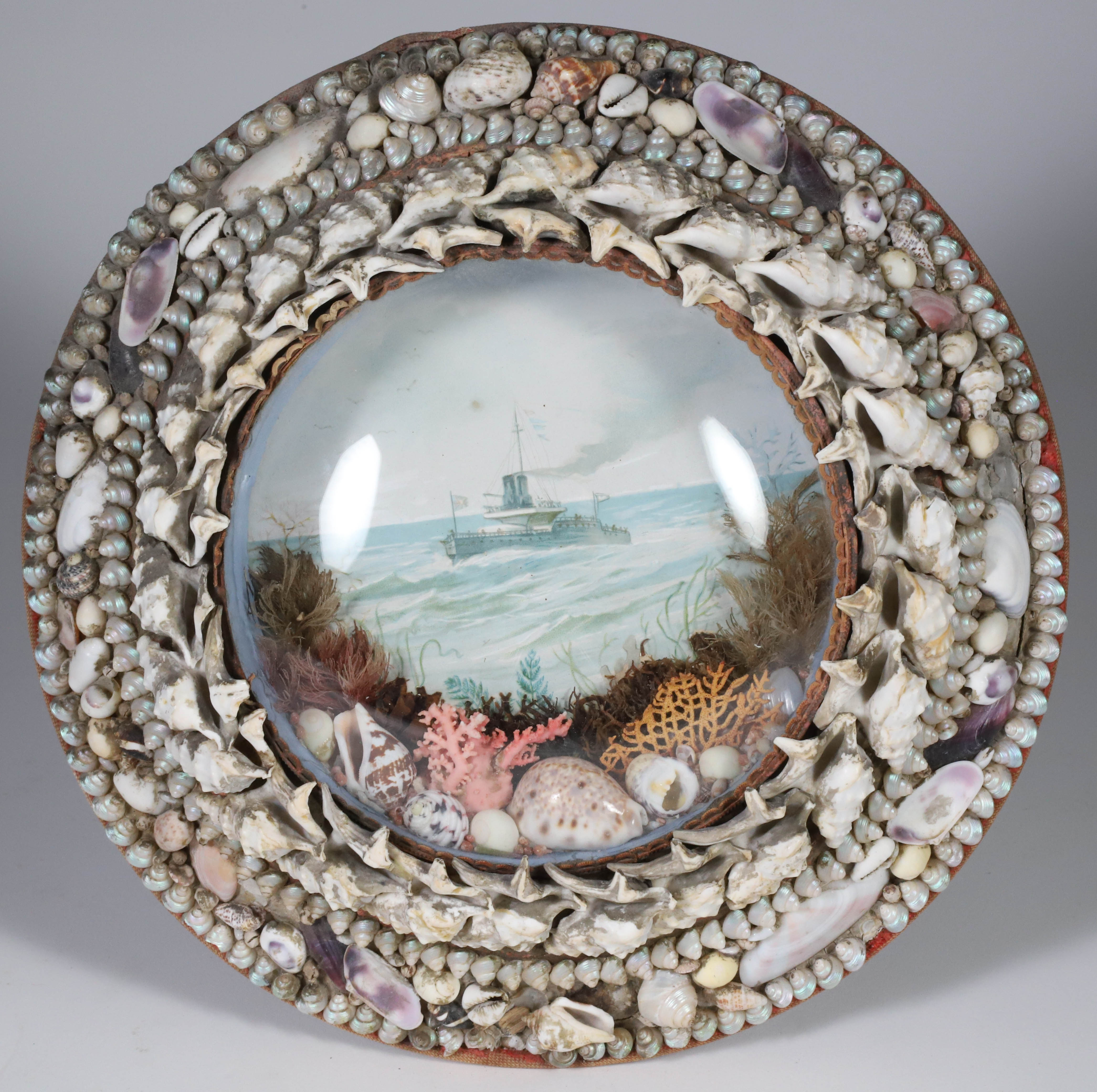 Victorian Shell Encrusted Convex Shadowbox 19th Century - Victorian ...