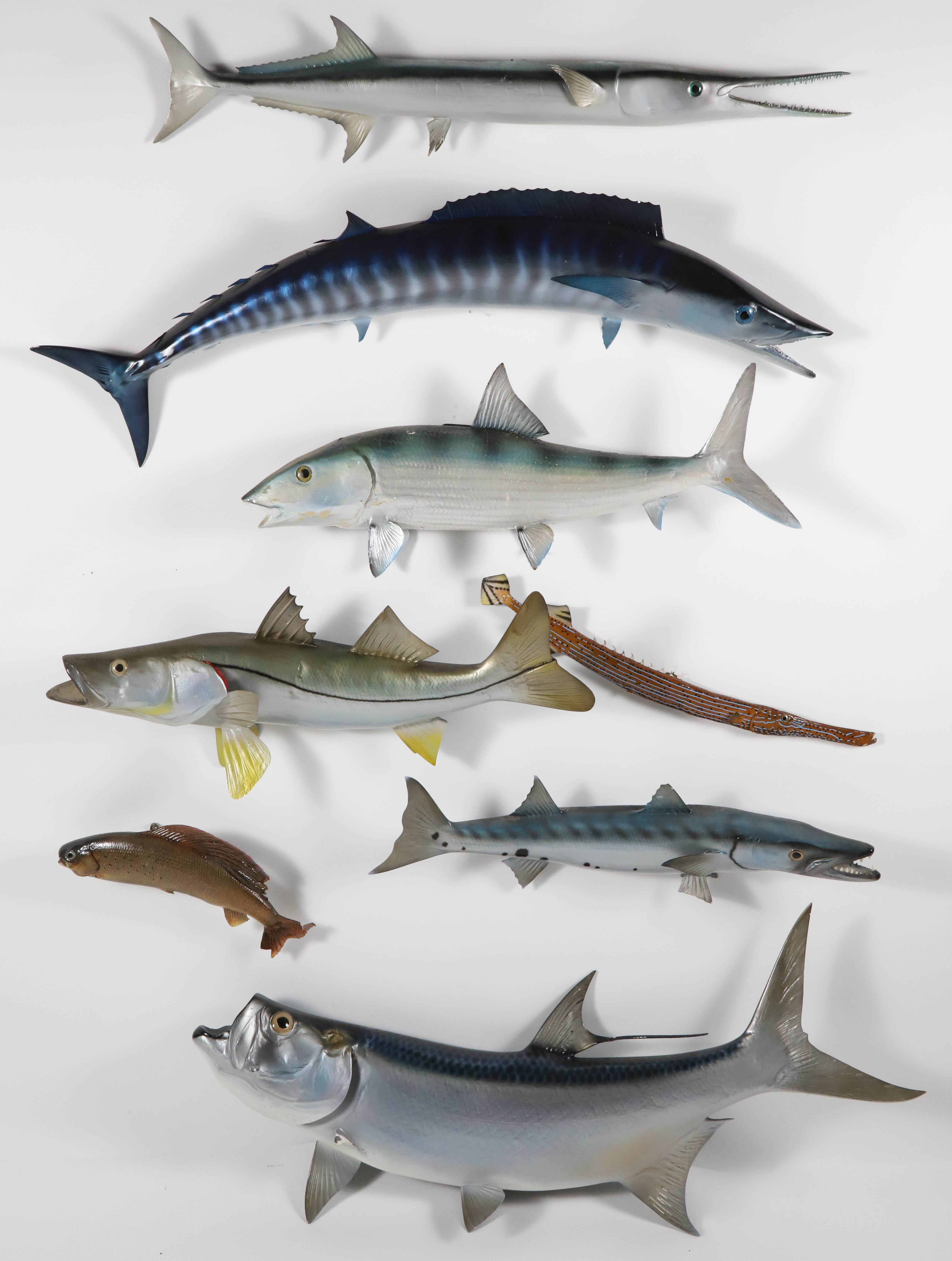 Eight Assorted Fish Trophies - Eight Assorted Fish Trophies - Rafael ...