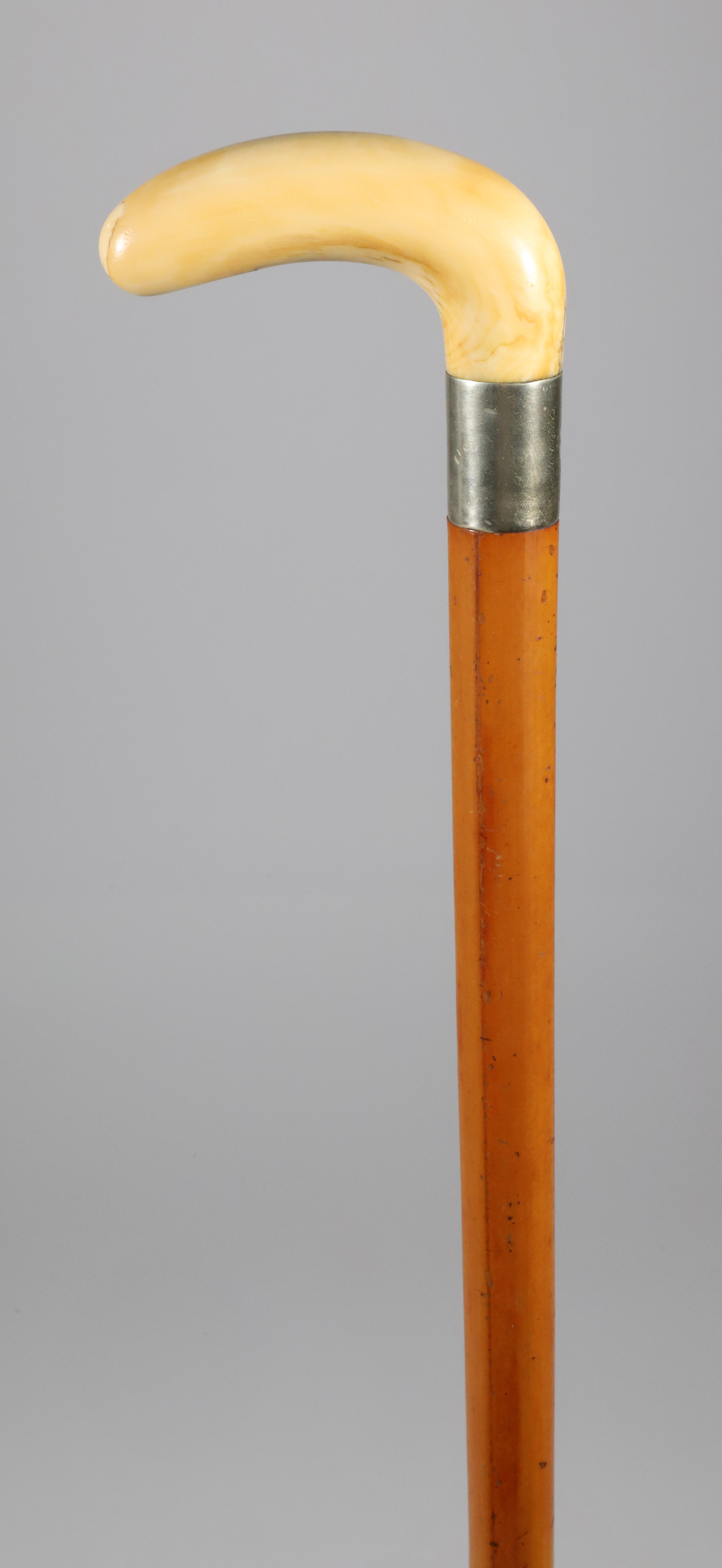 Presentation L-Grip Cane 19th Century - Presentation L-Grip Cane, 19th ...