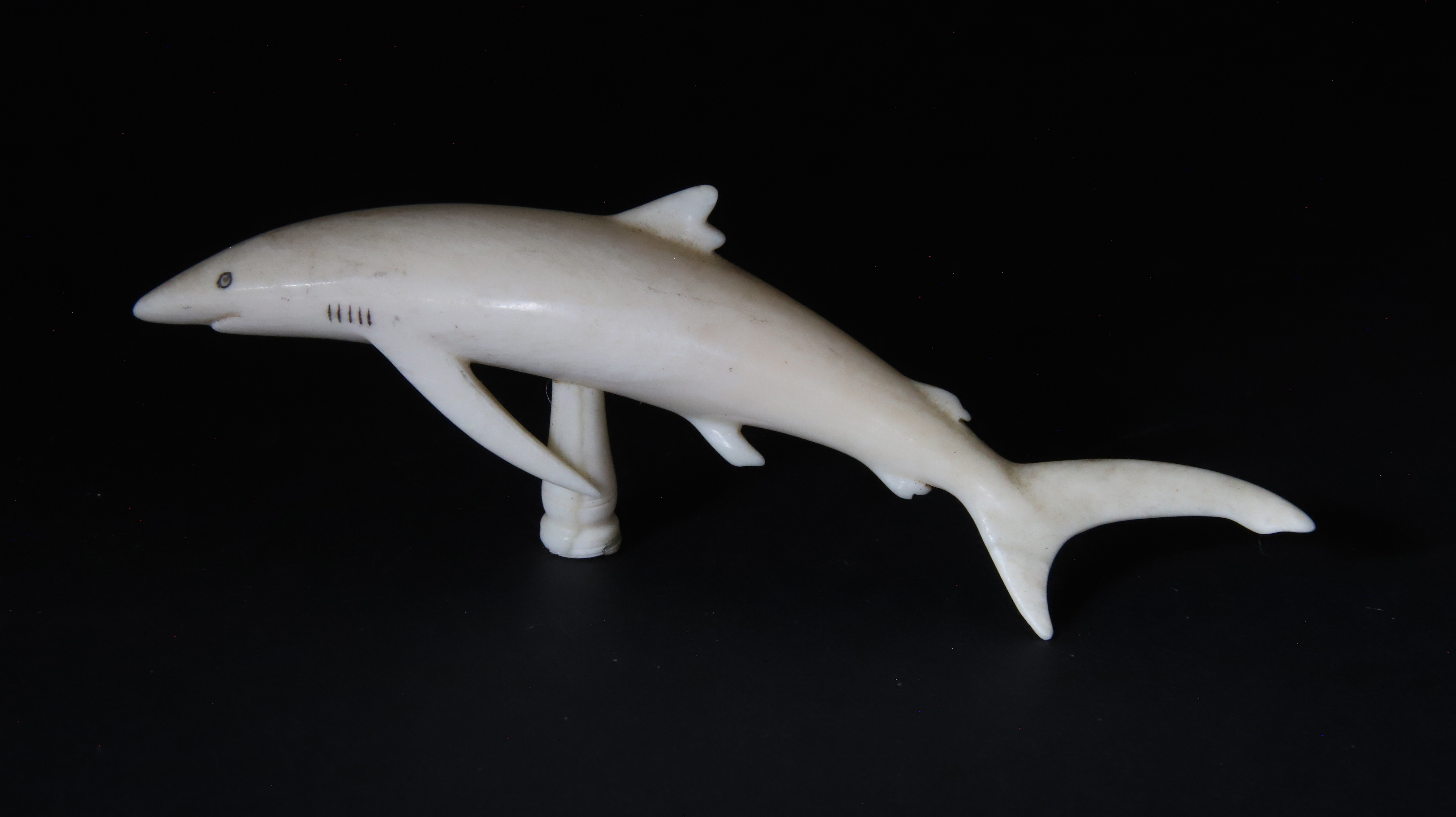 Signed Charlie Sayle Carved Bone Great Blue Shark circa 1969 - Signed ...