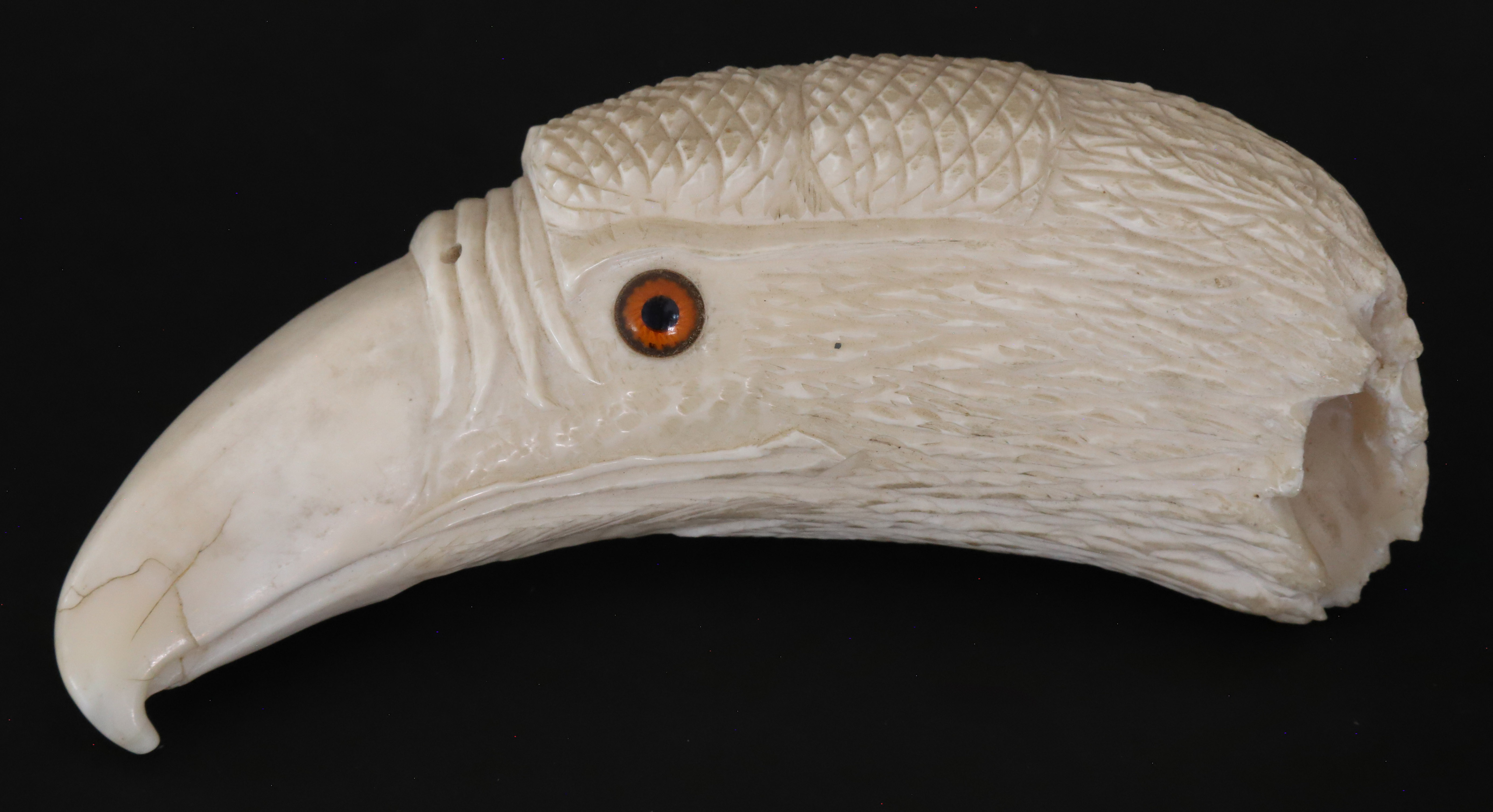Antique Sperm Whale Tooth Carved as an Eagle Head 19th Century ...