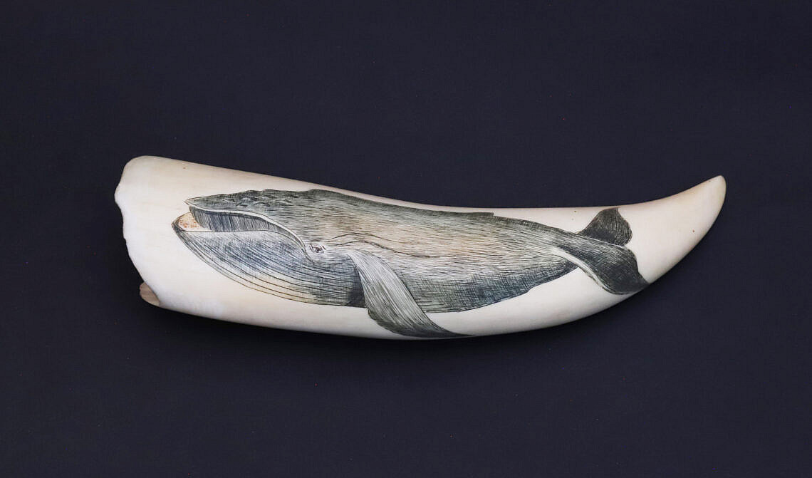 Robert Spring Scrimshaw Whale Tooth With Polychrome Right Whale ...