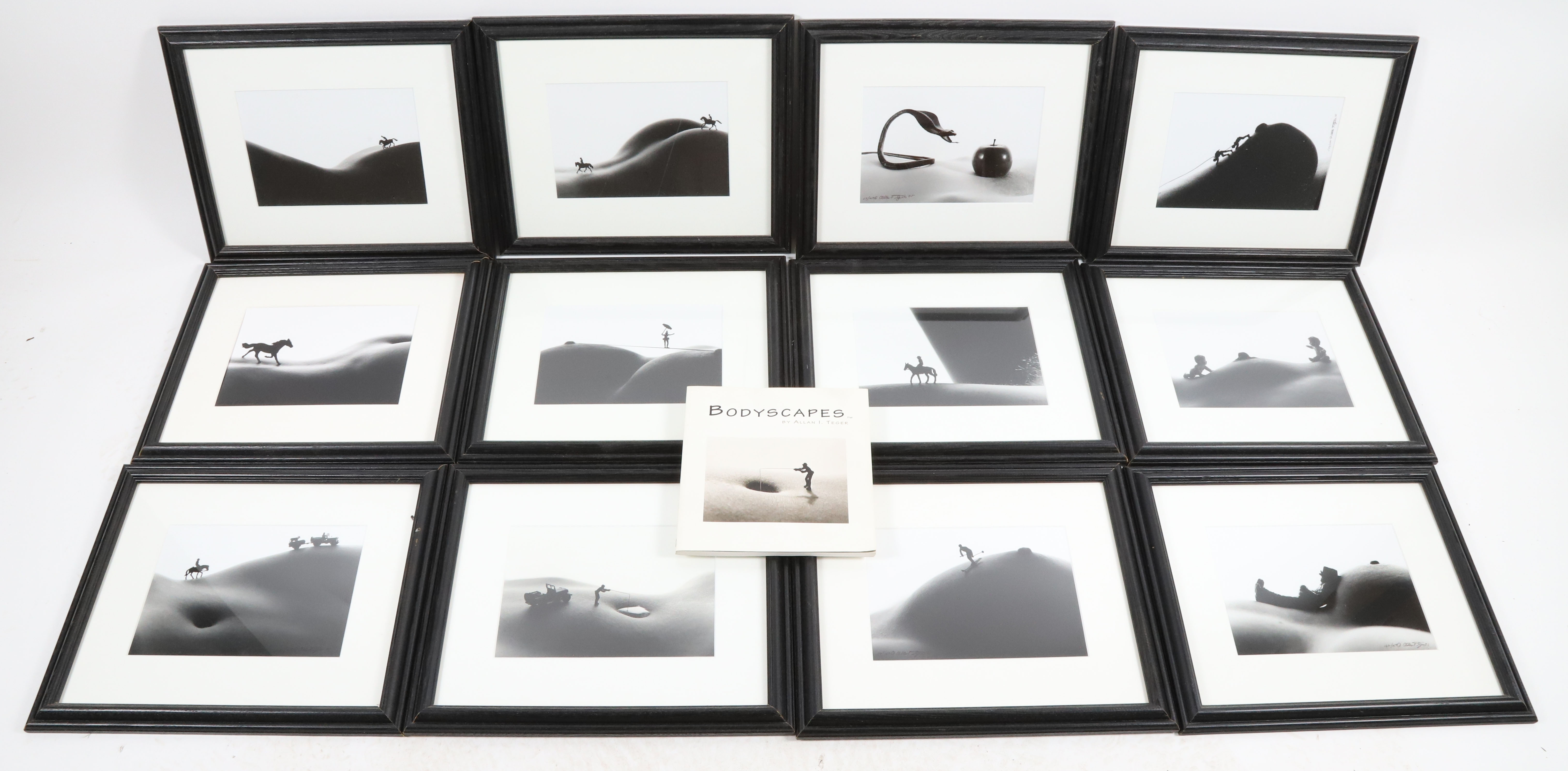 Collection Of 12 Allan Teger Limited Edition Black And White ...