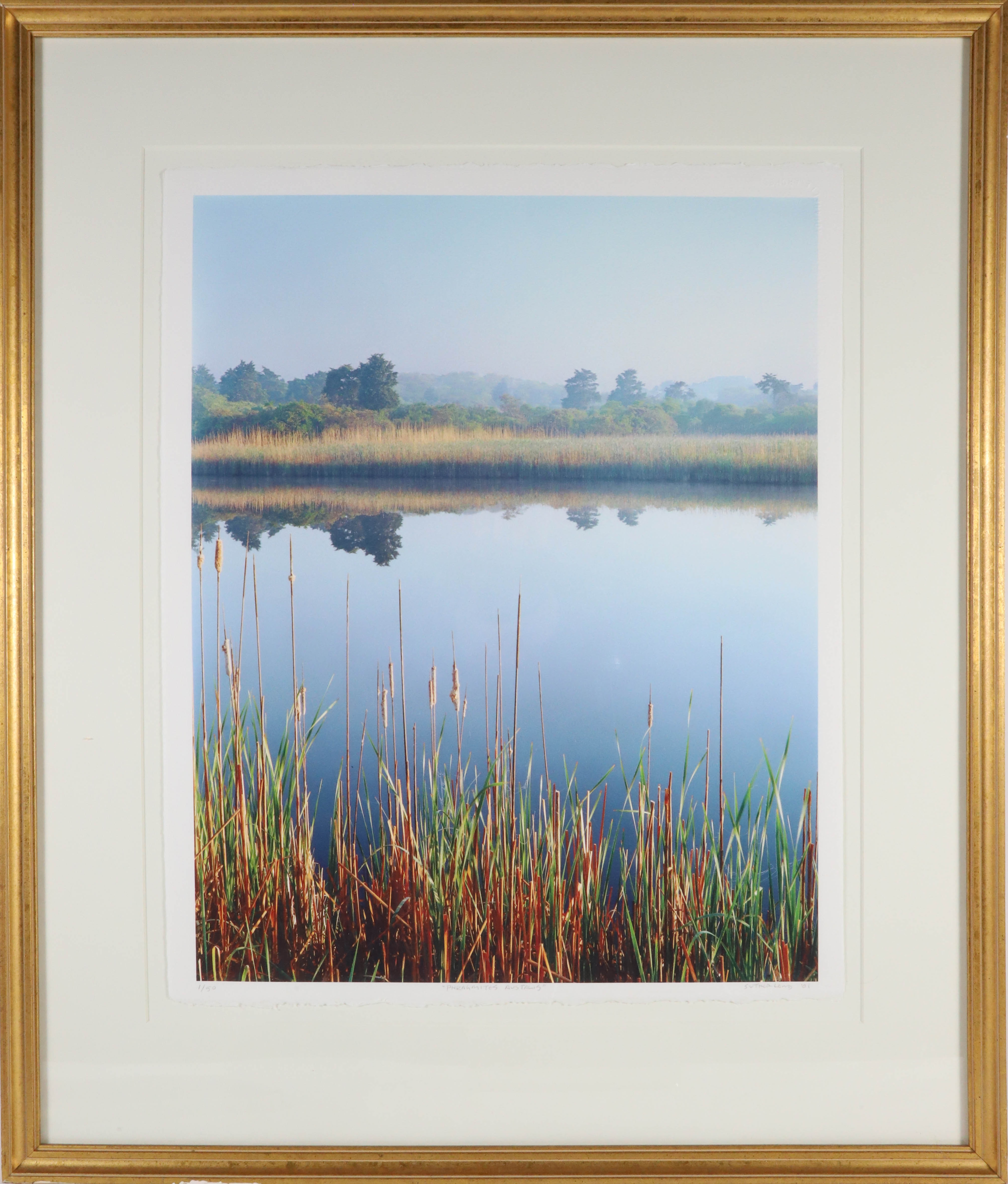Mark Sutherland Limited Edition Photograph #1/50 - Mark Sutherland ...