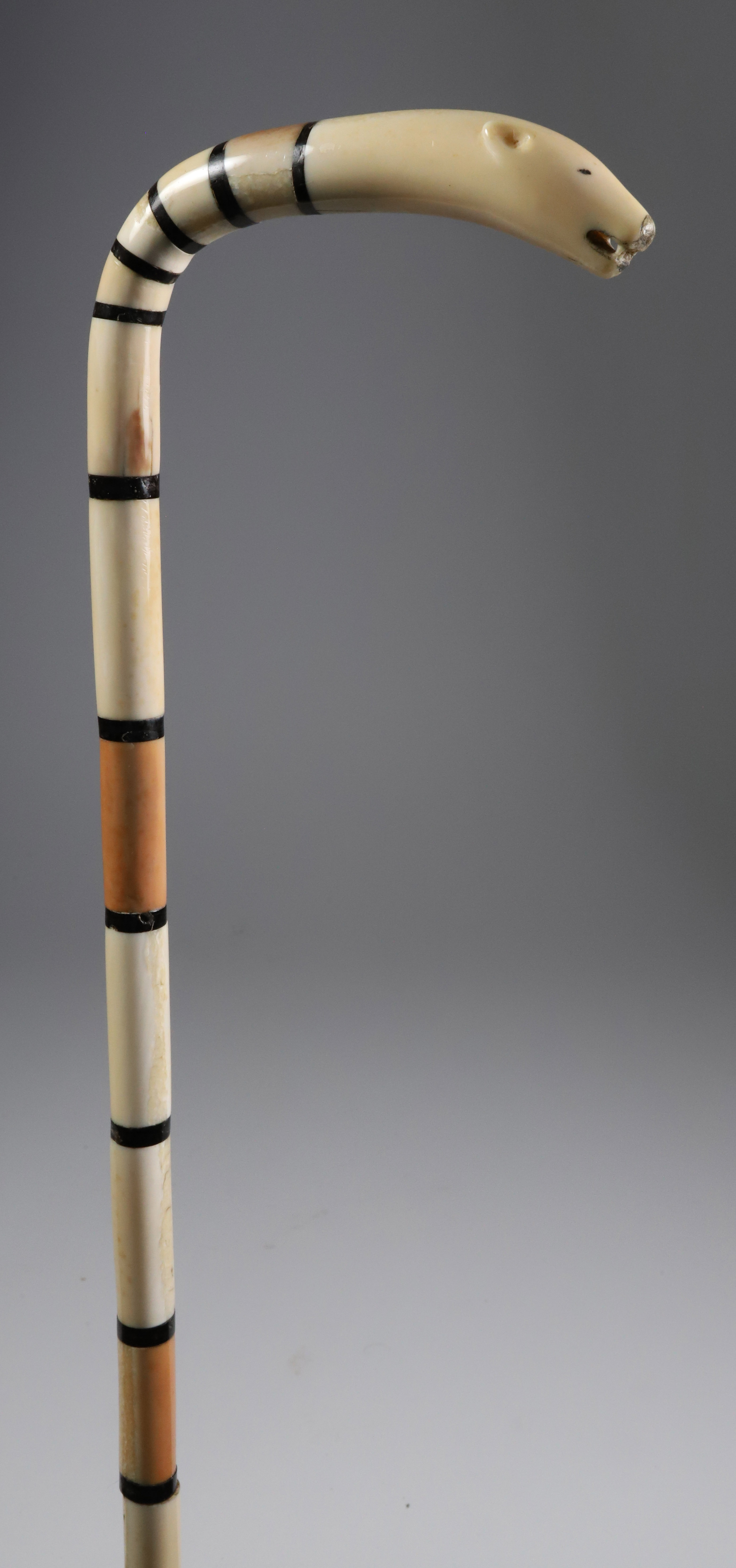 Eskimo Artist Made Polar Bear Cane 19th Century - Eskimo Artist Made ...