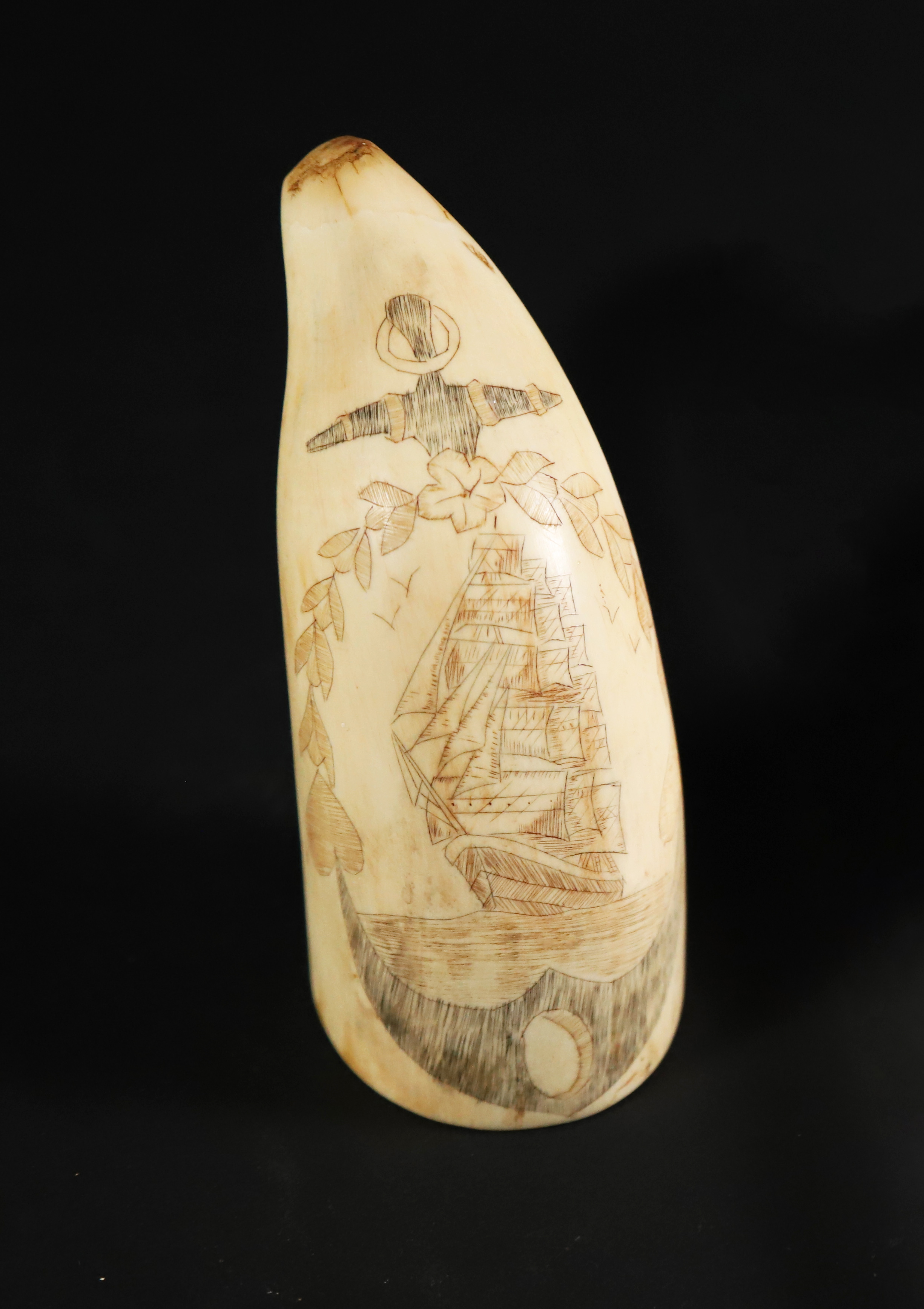 Antique Scrimshaw and Polychrome Sperm Whale Tooth - Scrimshaw ...