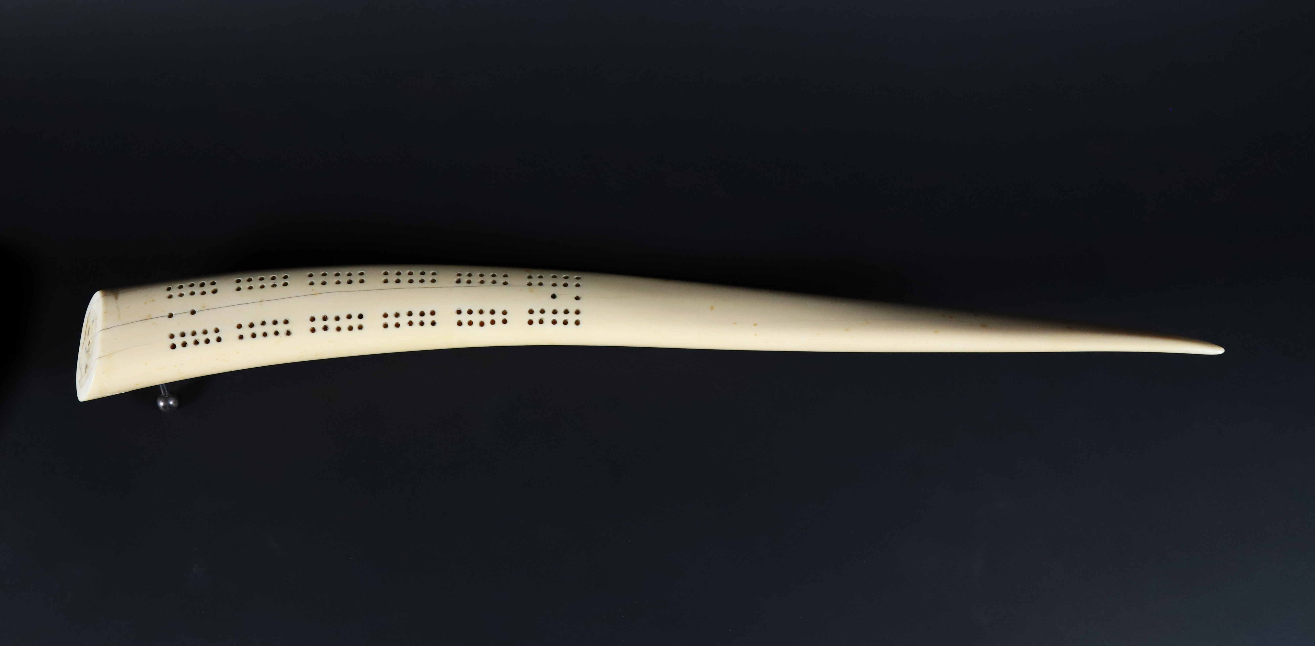Antique Walrus Tusk Cribbage Board Circa 1890s - Antique Walrus Tusk ...
